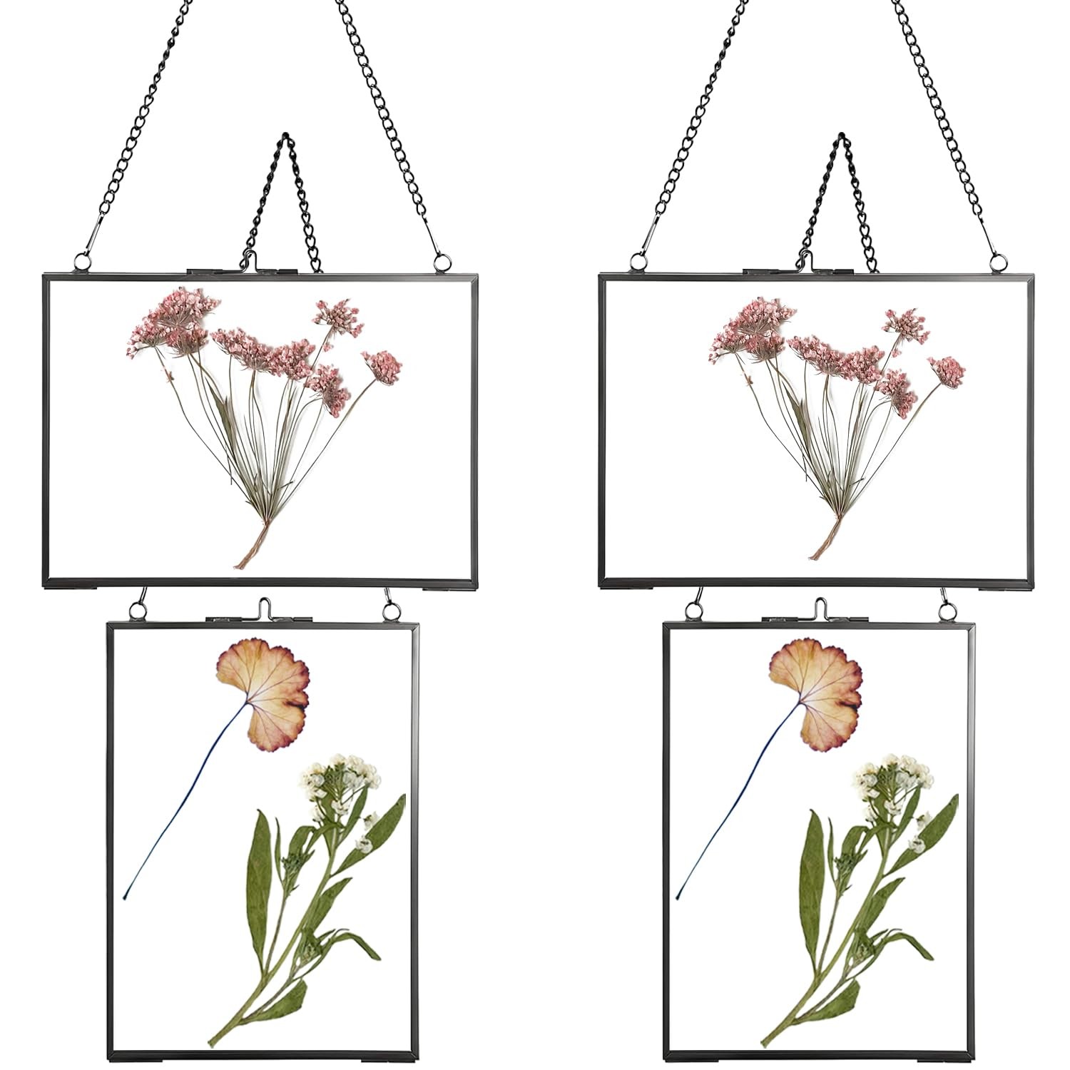 LOSYHU 4 Pack 5" x 7" Pressed Flower Frame Black Glass Hanging Frames ...