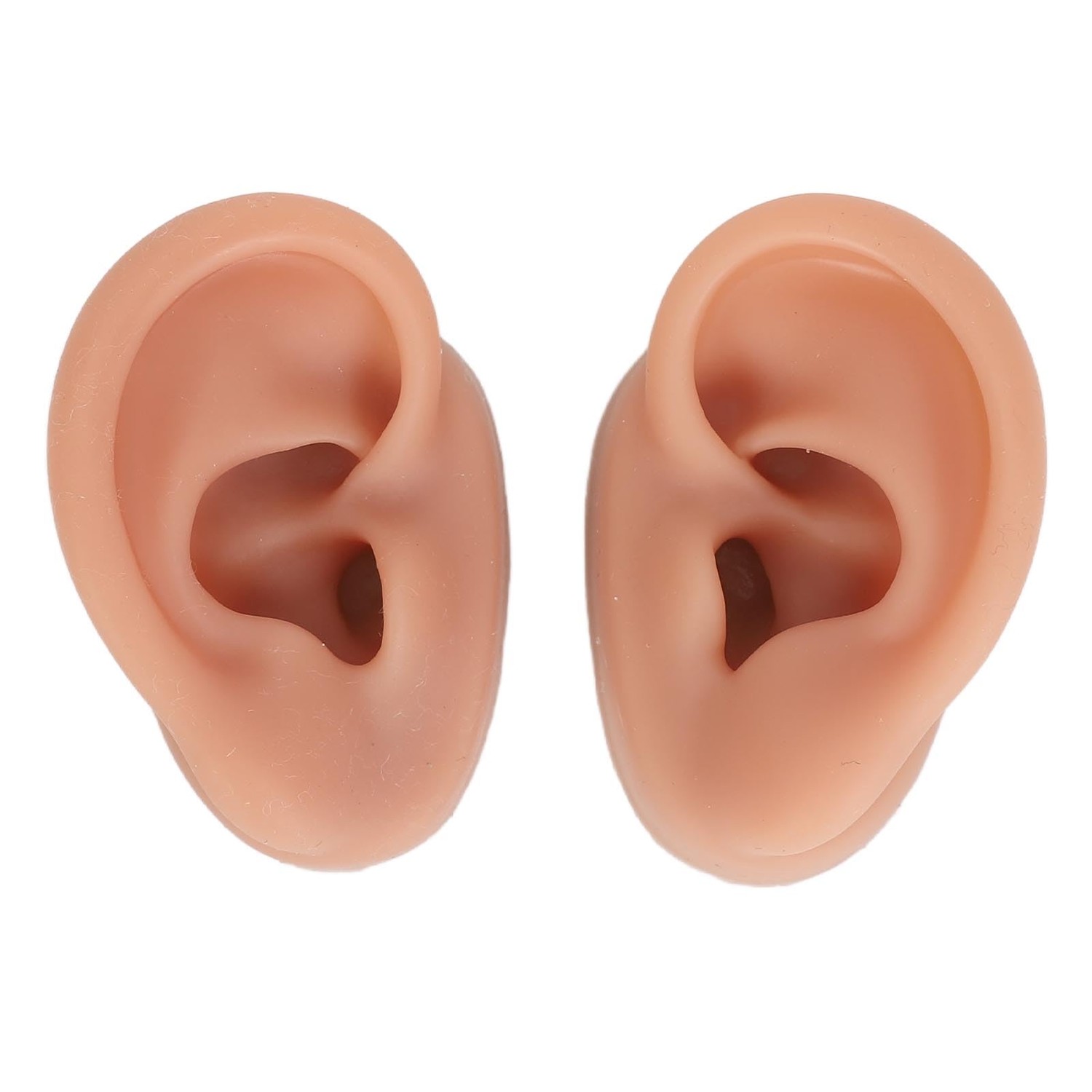 Silicone Ear Model, 1 Pair Realistic Left Right Soft Human Ear Model ...