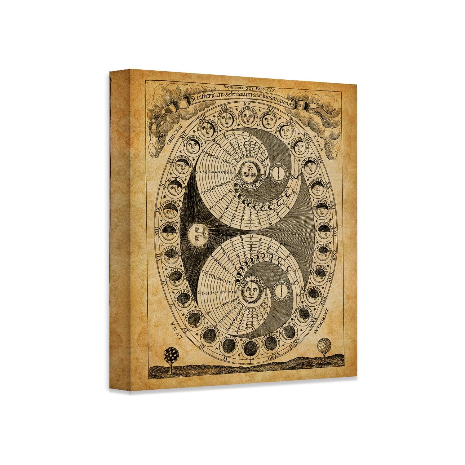 Astronomy Chart Phases Of The Moon-18x24 Stretched Canvas Poster ...