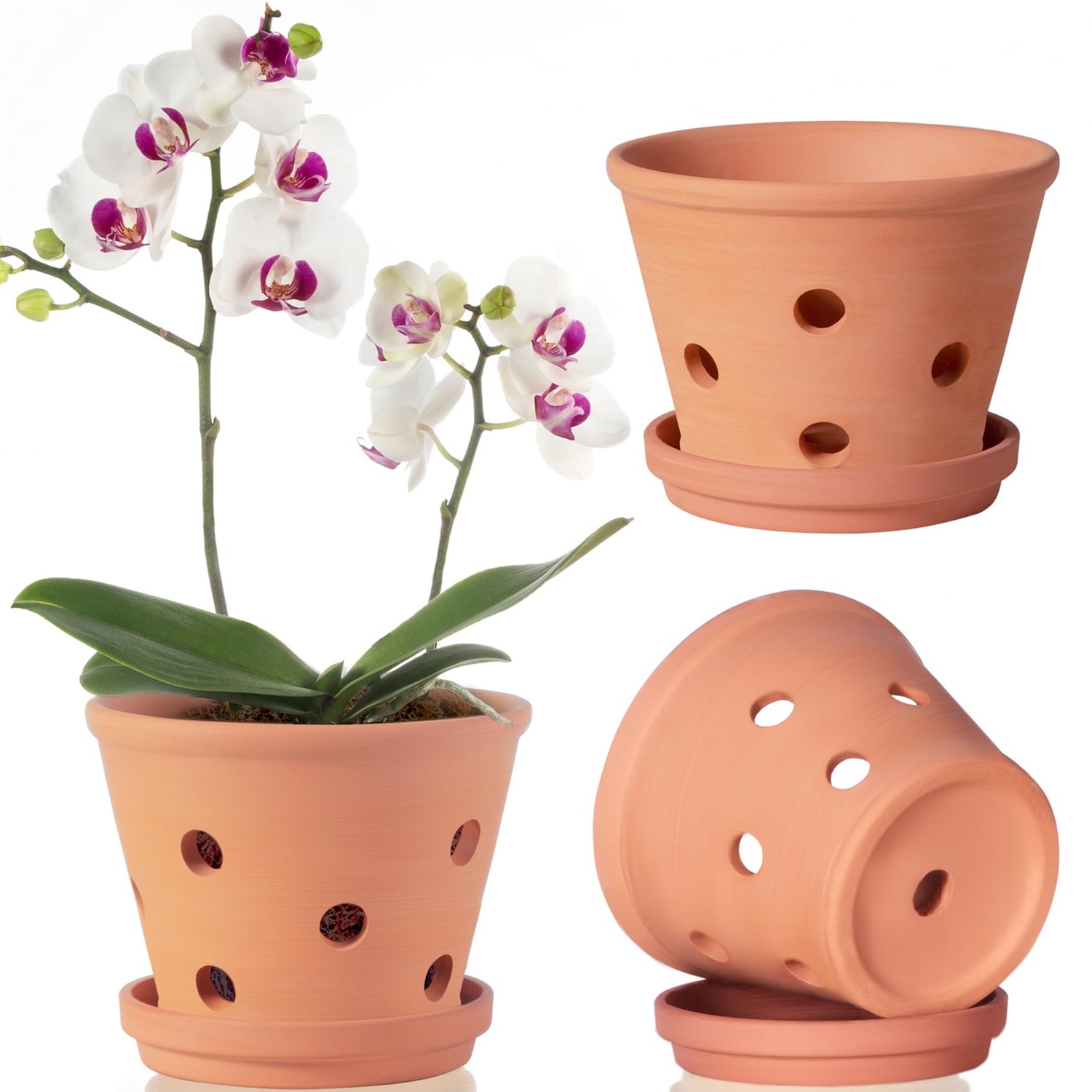 6 Inch Terracotta Orchid Pots with Holes, Saucers - 3 Pack Clay Orchid ...