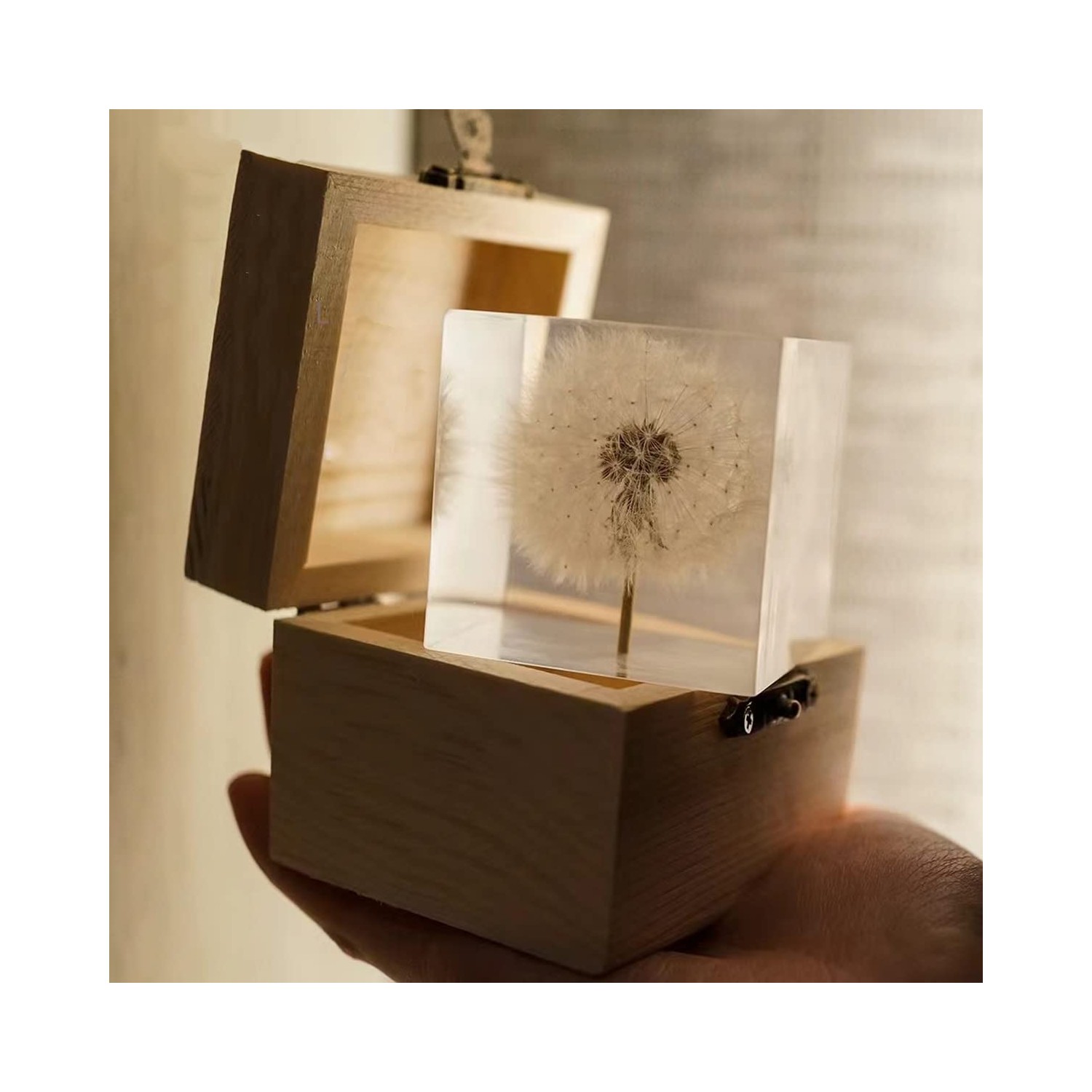 DESHINTKE Cube Dandelion Specimen Paperweight with Wood Box, 2 inch ...