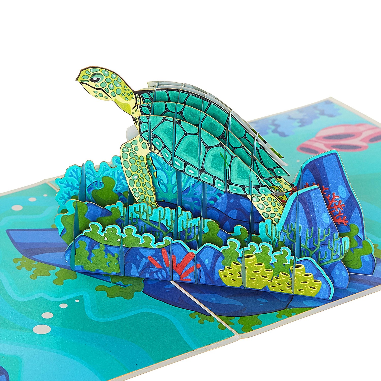 Rykamia Turtle Pop Up Card, 6x6 inches, 3D Turtle Birthday Card, Get ...