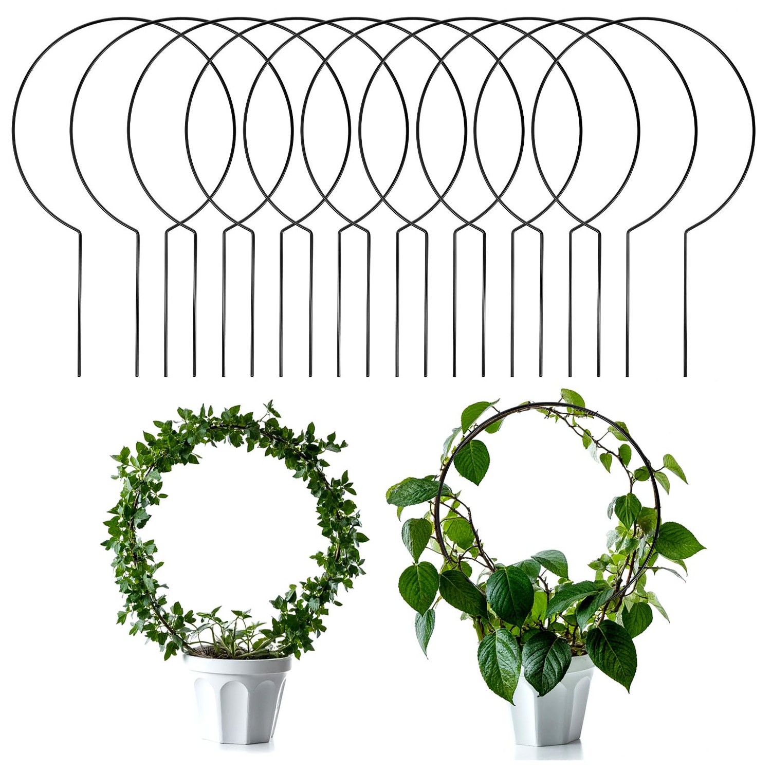 10 Pcs Small Trellis for Climbing Plants, Indoor Outdoor Plant Trellis ...