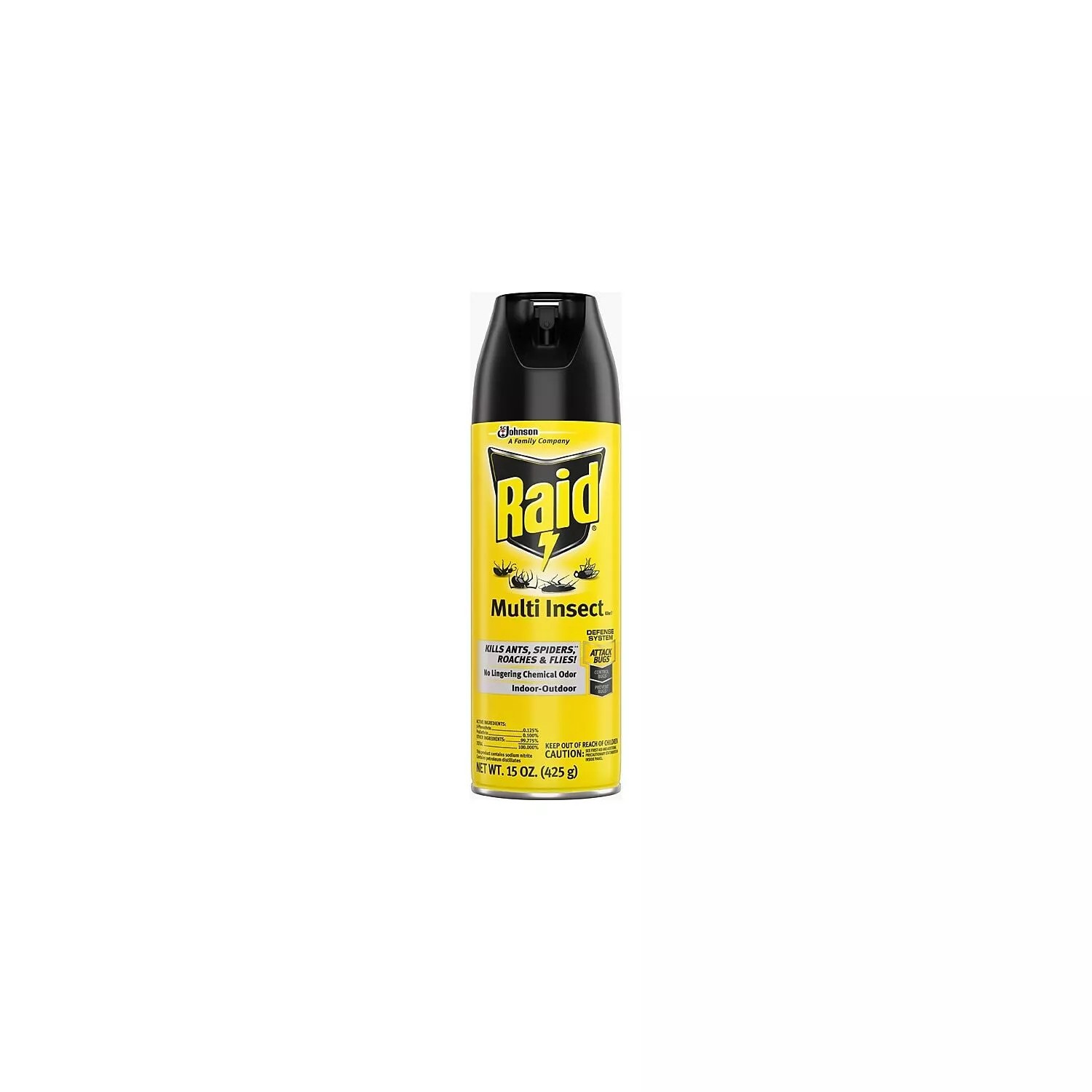 Raid Multi Insect Killer Indoor/Outdoor Aerosol Spray 15 oz (300819 ...