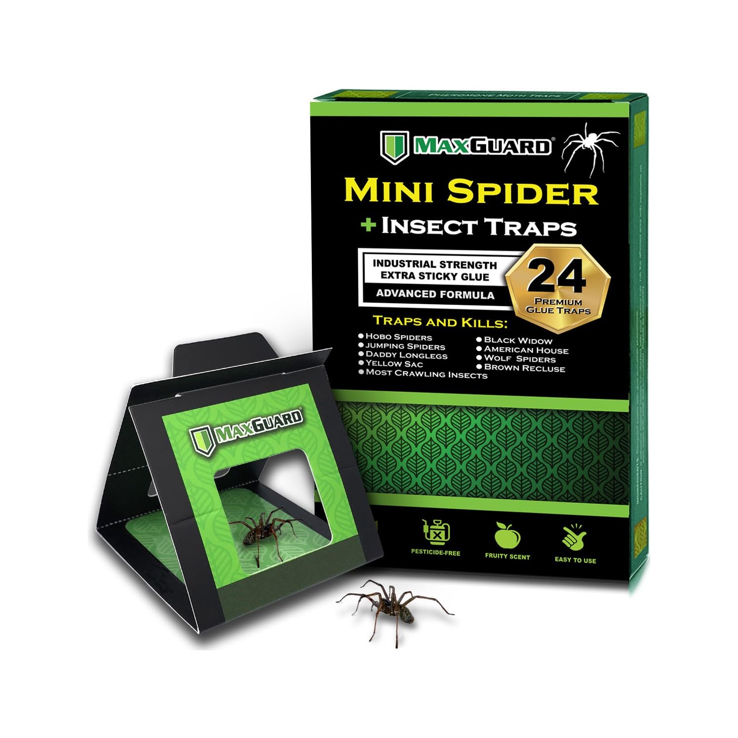 MaxGuard Mini Spider + Insect Traps (24 pcs Box Trap) | Non-Toxic Extra ...