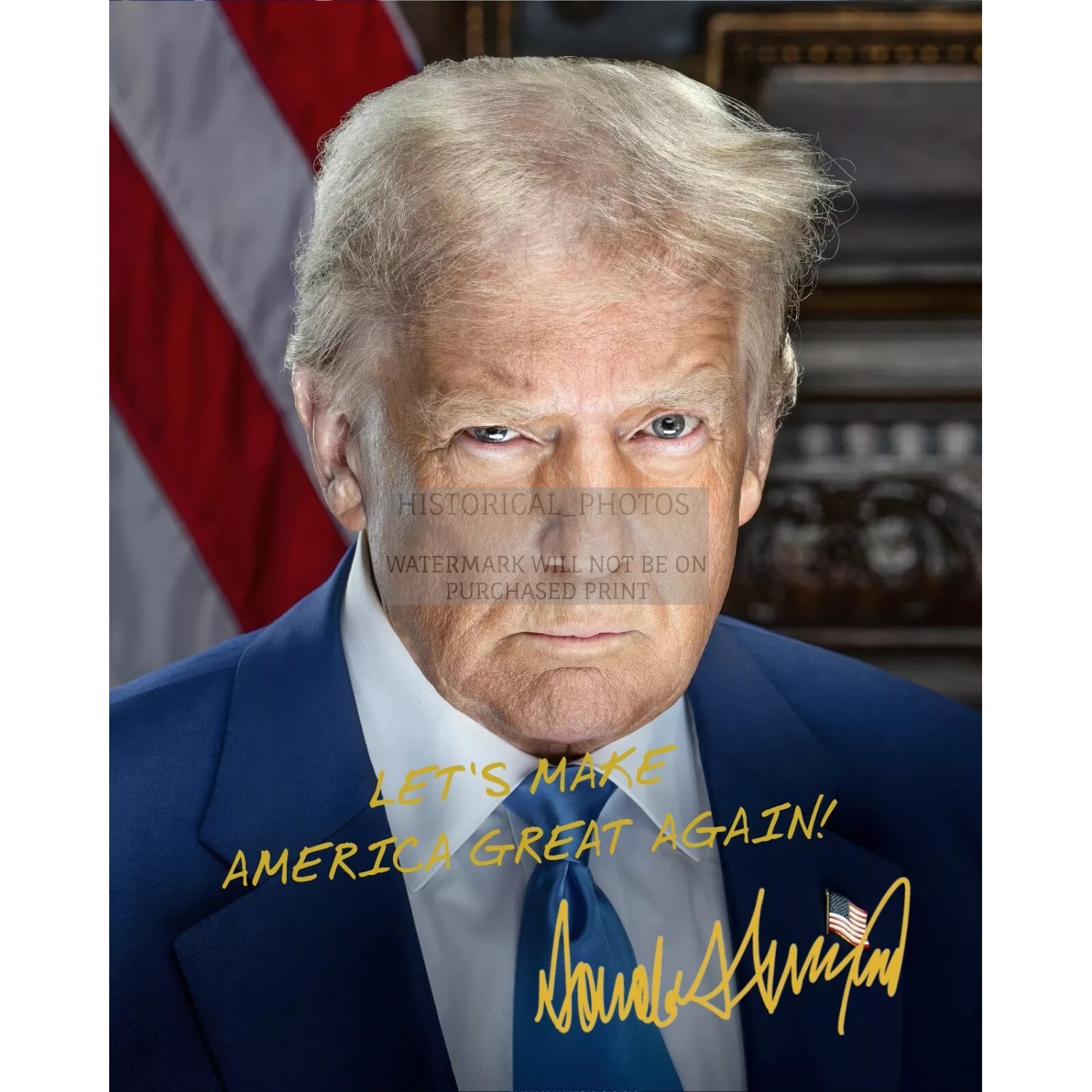 PRESIDENT DONALD TRUMP OFFICIAL 2025 WHITE HOUSE PORTRAIT AUTOGRAPHED ...
