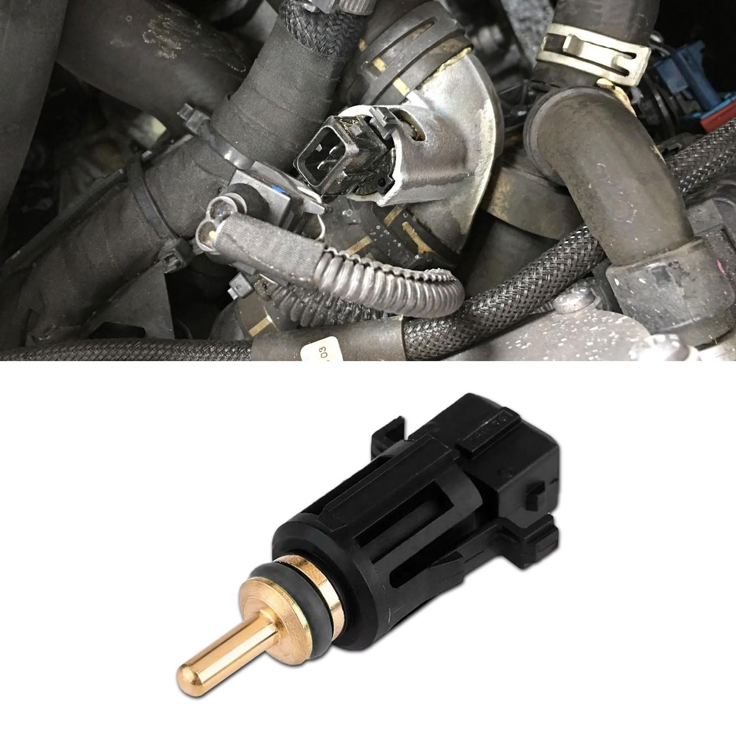 deemars Coolant Temperature Sensor in Lower Radiator Hose, Water ...