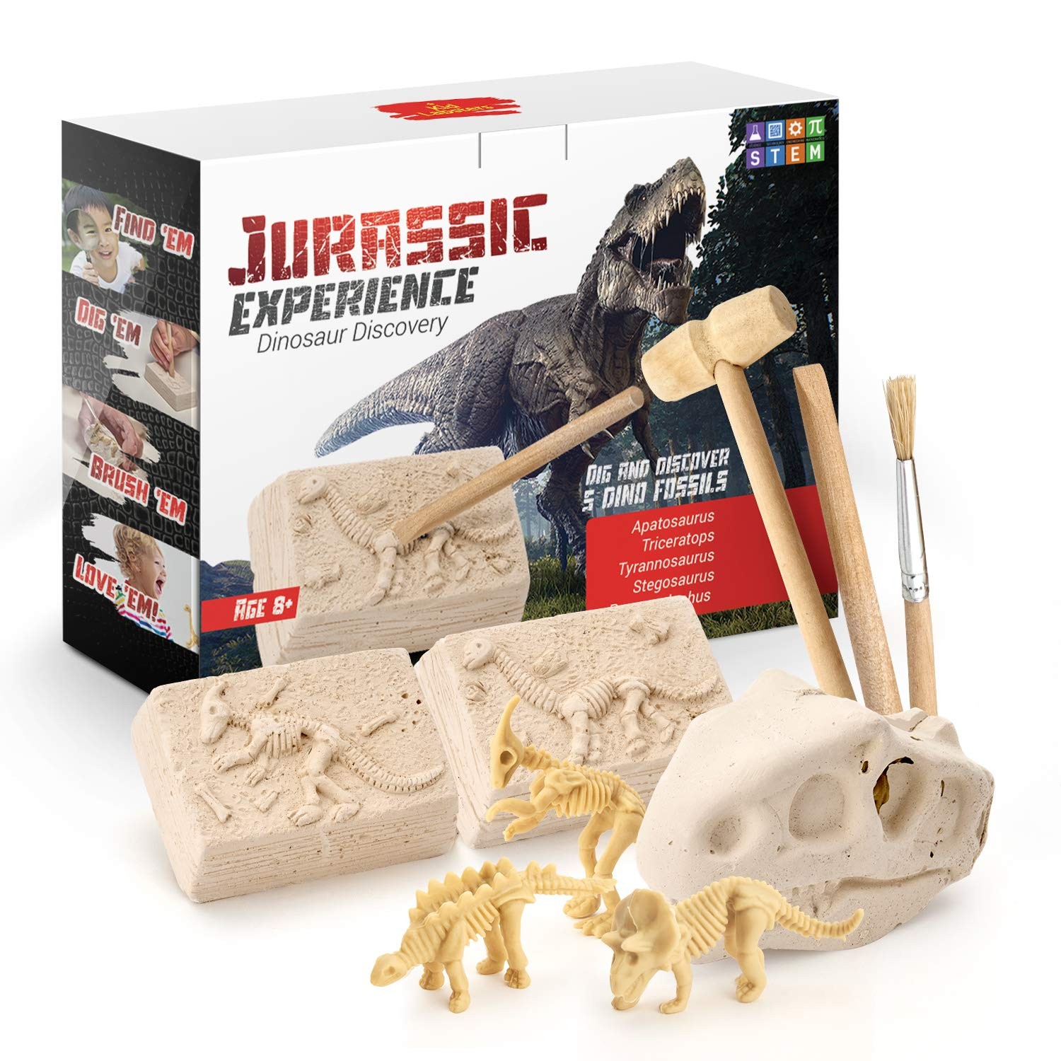 Kid Labsters Jurassic Experience Dinosaur Discovery - Dinosaur Fossil ...