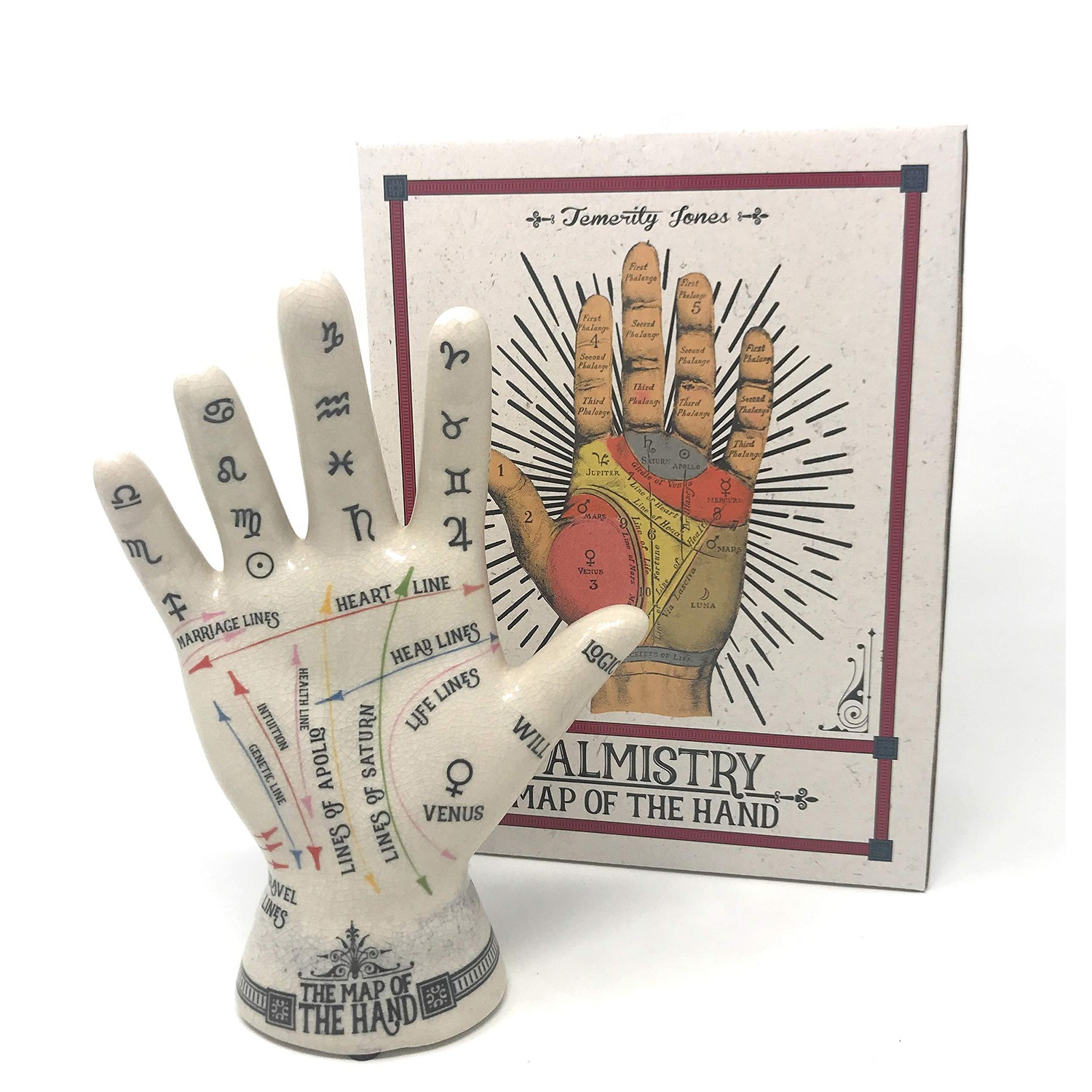 Temerity Jones Oak Tree Porcelain Crackle Phrenology Palmistry Hand Map ...