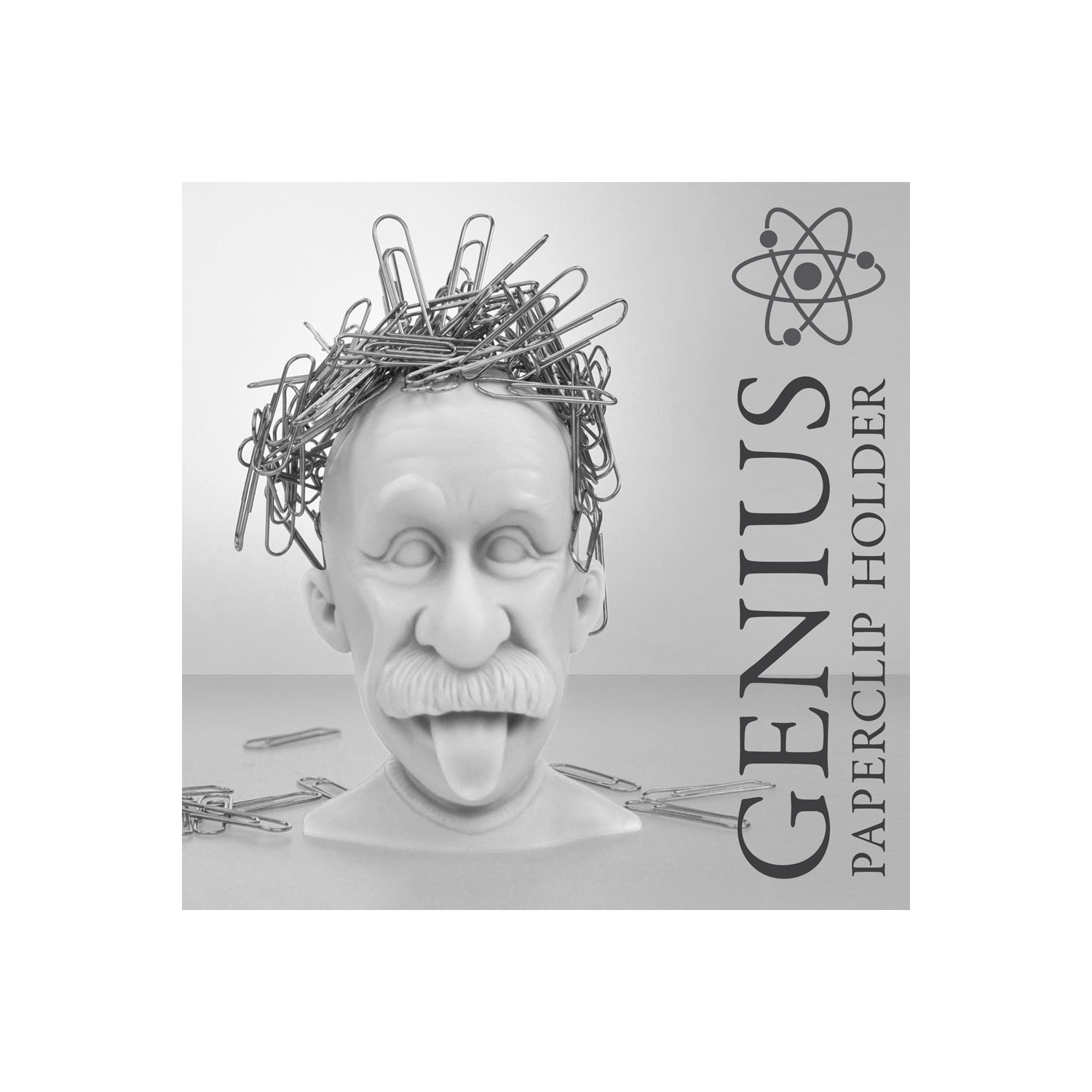 Genius Magnetic Paperclip Holder. Einstein Head Paper Clip Holder ...