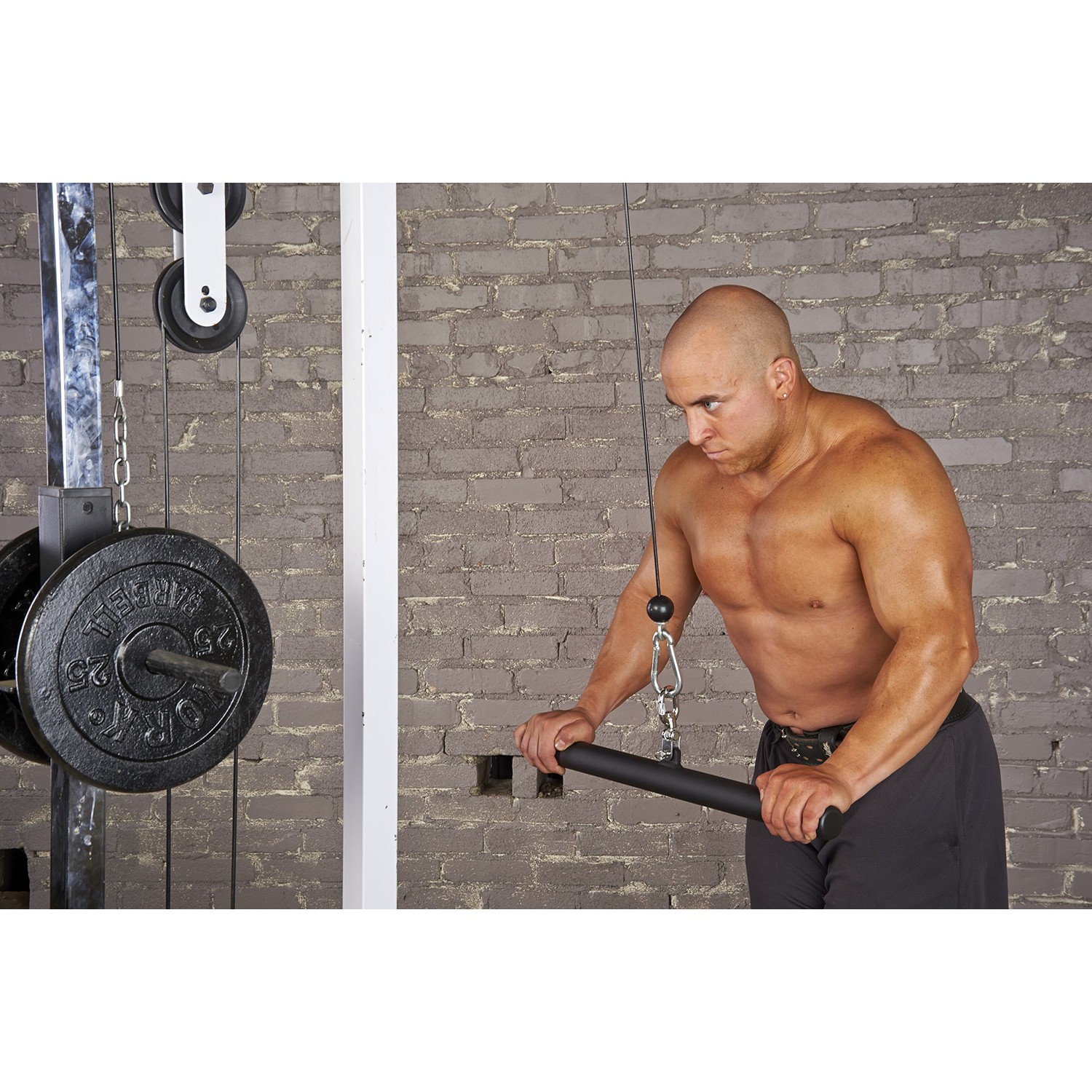 Hog Legs LPGmuscle 24" Cable Gym Bar with Revolving Center HAM HOCK ...