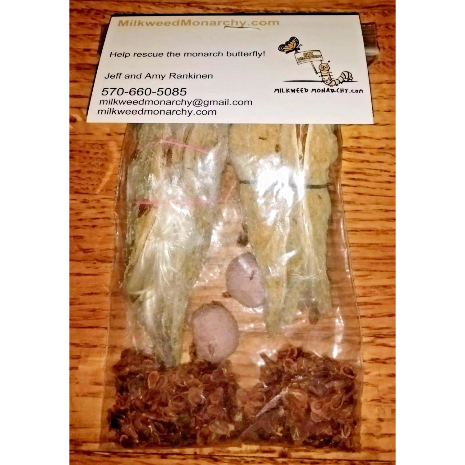 Milkweed Monarchy Common Milkweed Sampler, Pods, Seeds & Seed Balls ...