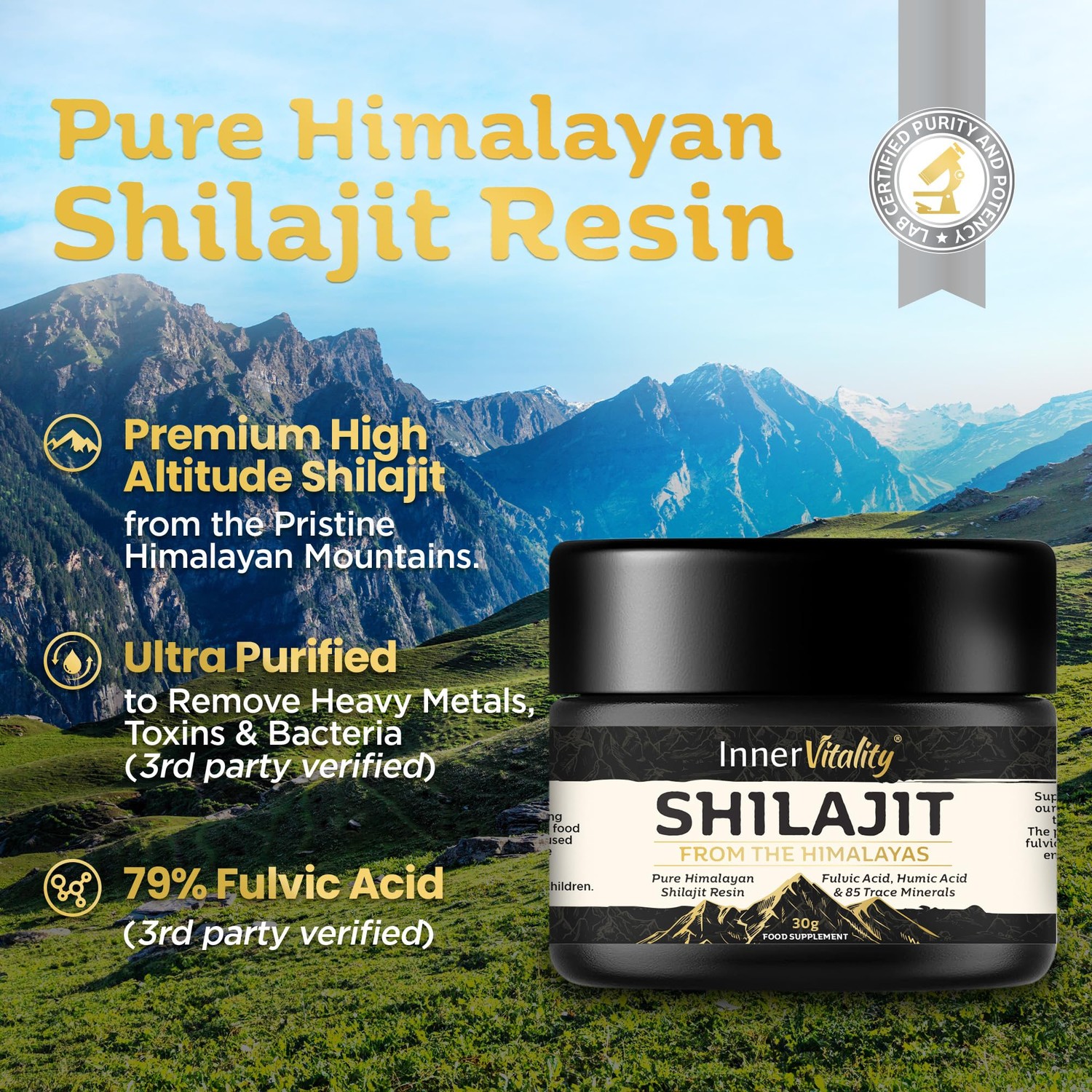 Shilajit Resin Pure Himalayan Shilajit with 79% Fulvic Acid, 30g Gold ...