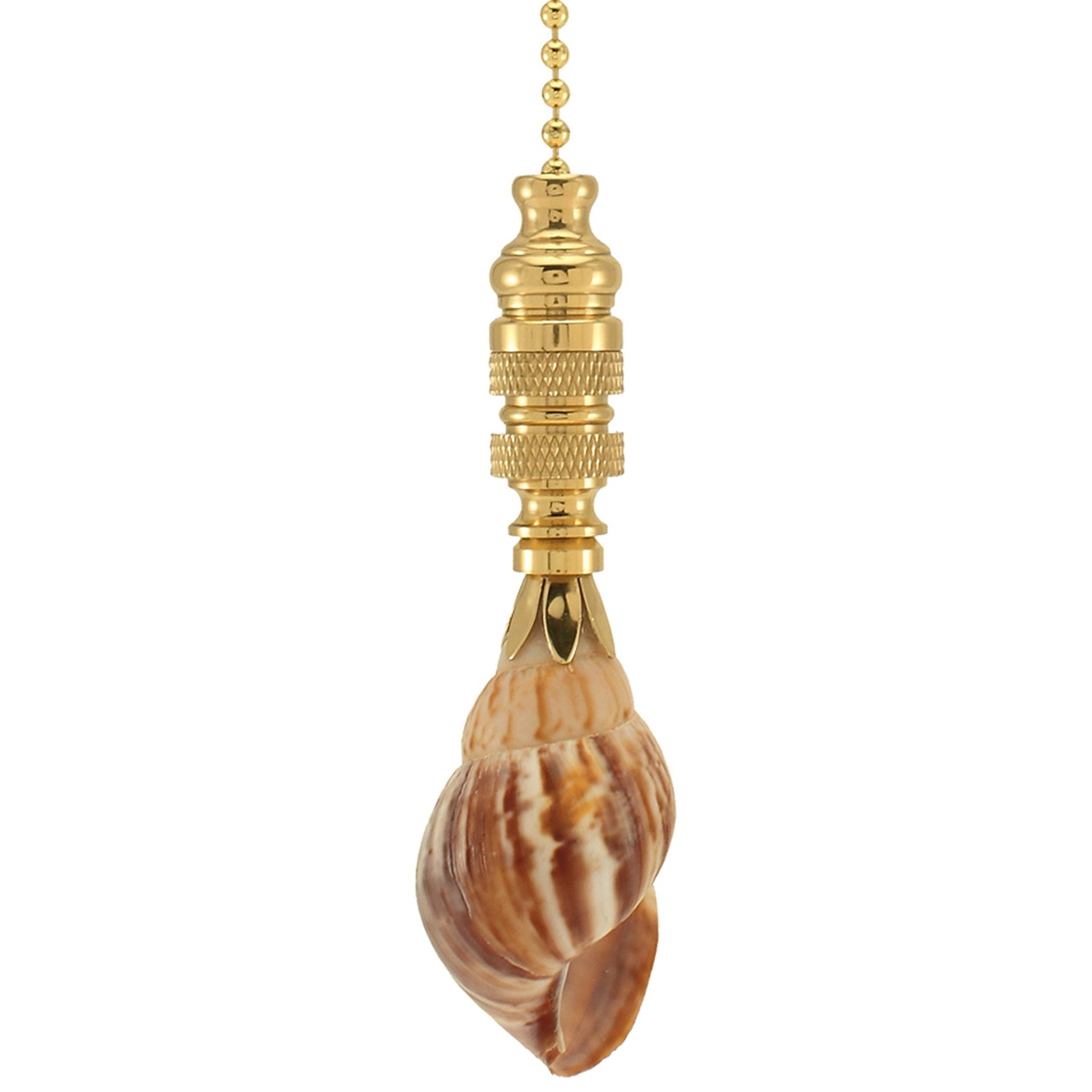 Snail Sea Shell Ceiling Fan Pull, 1"h with 12" Polished Brass Chain ...