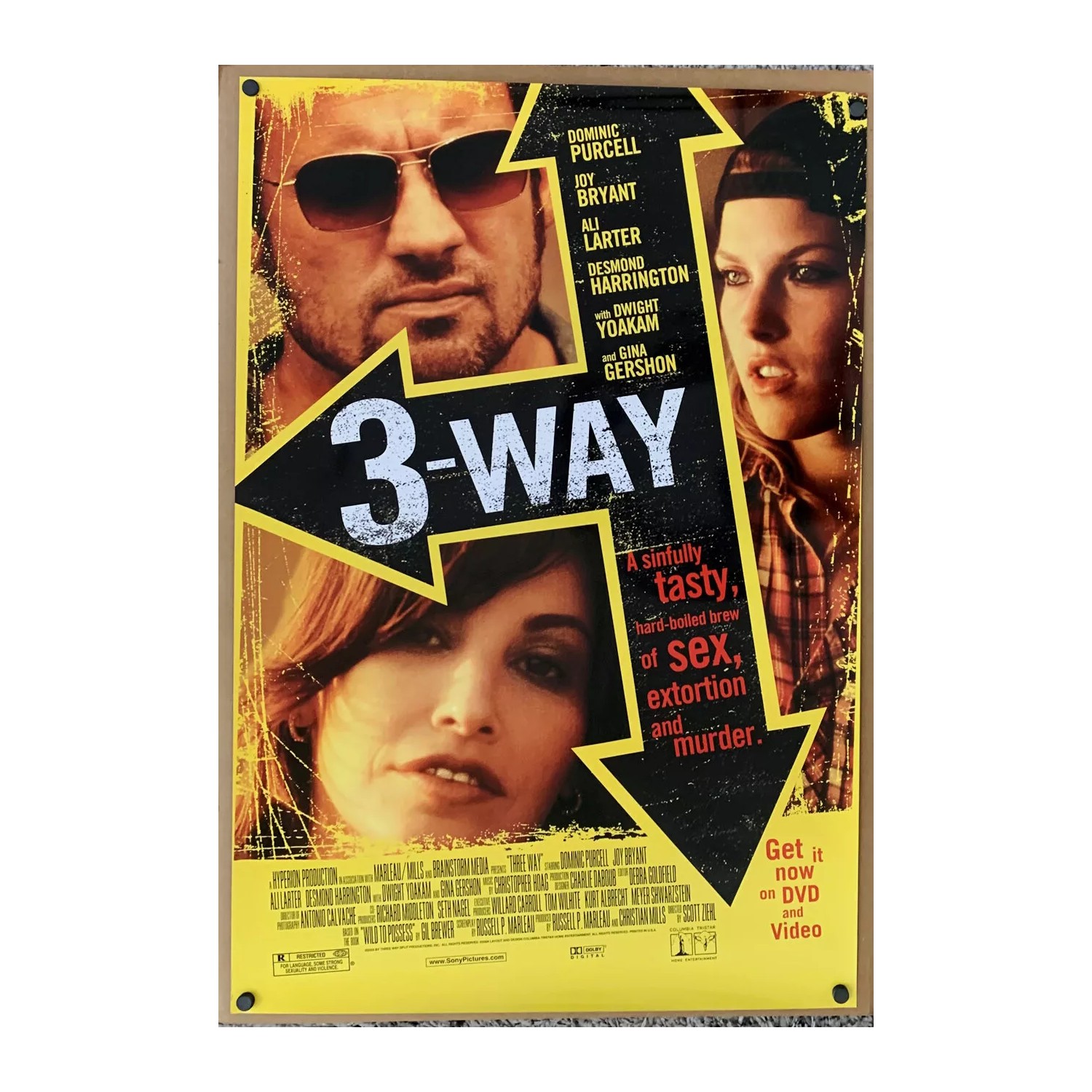 THREE WAY DVD MOVIE POSTER 1 Sided ORIGINAL 27x40 ALI LARTER GINA ...