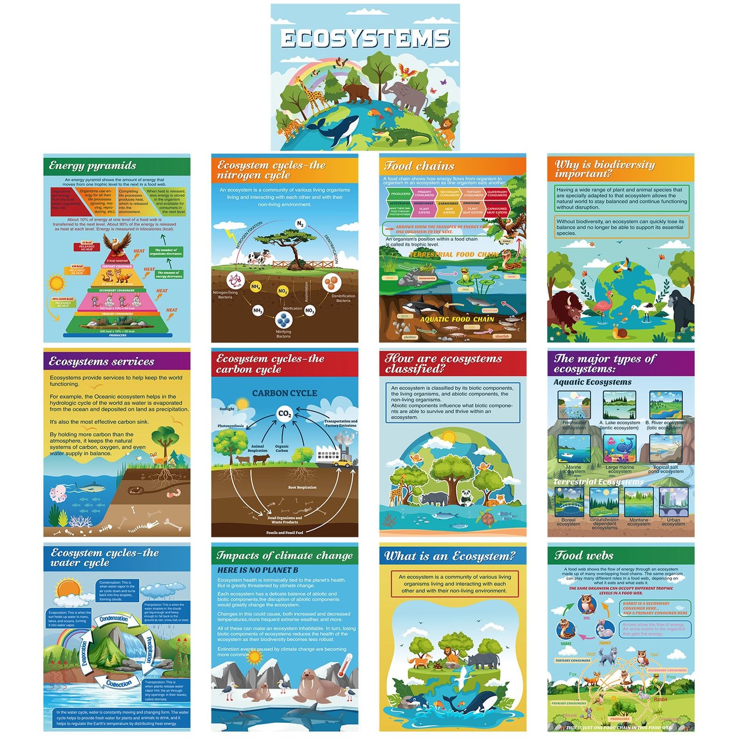 Pajean 13 Pcs Ecosystems Bulletin Board Posters Science Teaching Poster ...