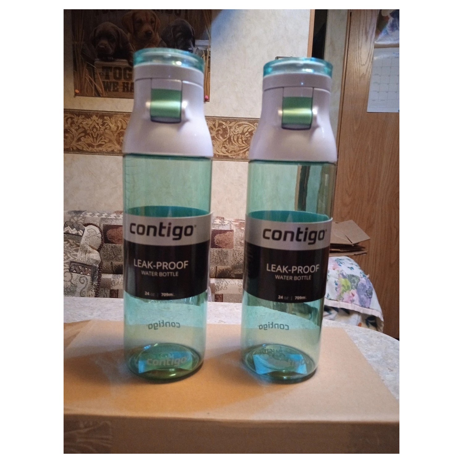 Contigo 2 Contigo Water Bottles Jade Teal Green Autoseal Leak Proof ...