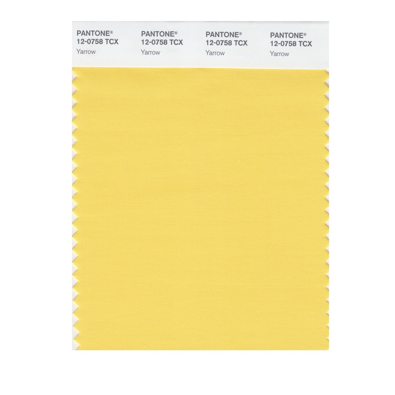 Pantone 12-0758 TCX Smart Color Swatch Card, Yarrow - ibspot.com