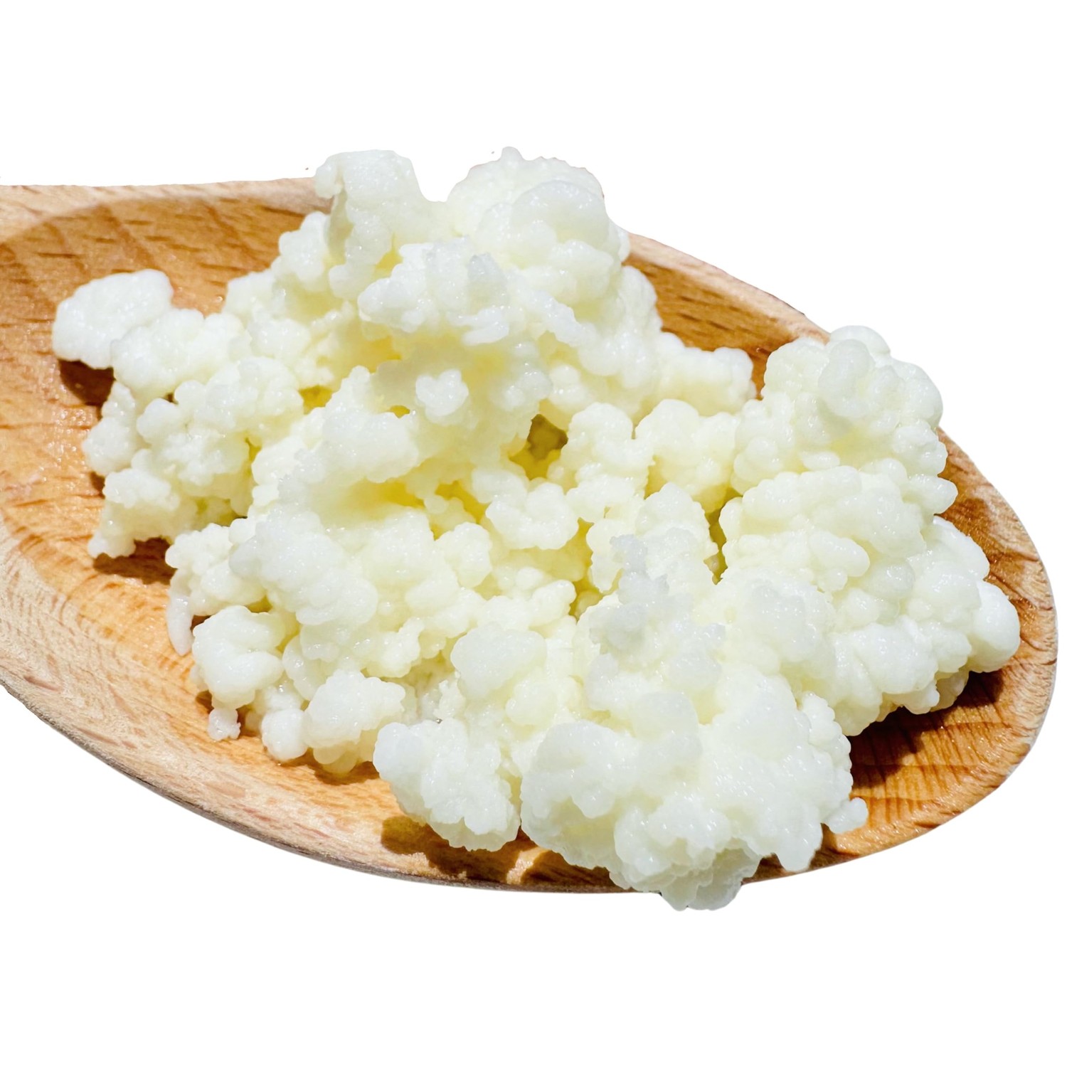 NatuDelight, 1 TBSP Live Active Milk Kefir Grains, Natural Probiotic ...