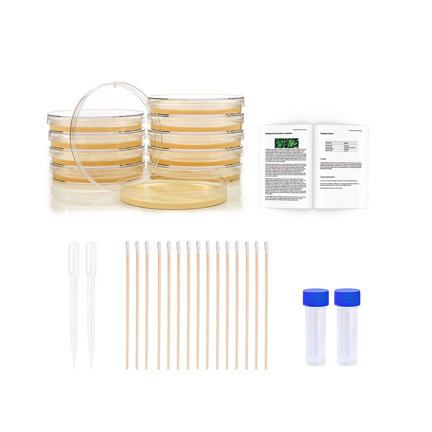Bacteria Science Kit Petri Dishes with Agar and Swabs | Top Science ...