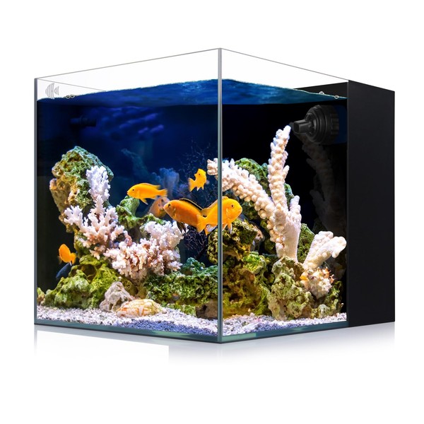 Coralland 8-Gallon Saltwater Aquarium - Ultra Clear Low Iron Glass, 45 ...