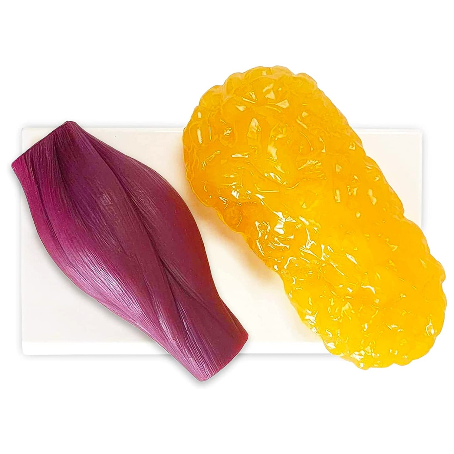 Amazing Human Body Muscle & Fat Replica 1lb by Evviva Sciences ...