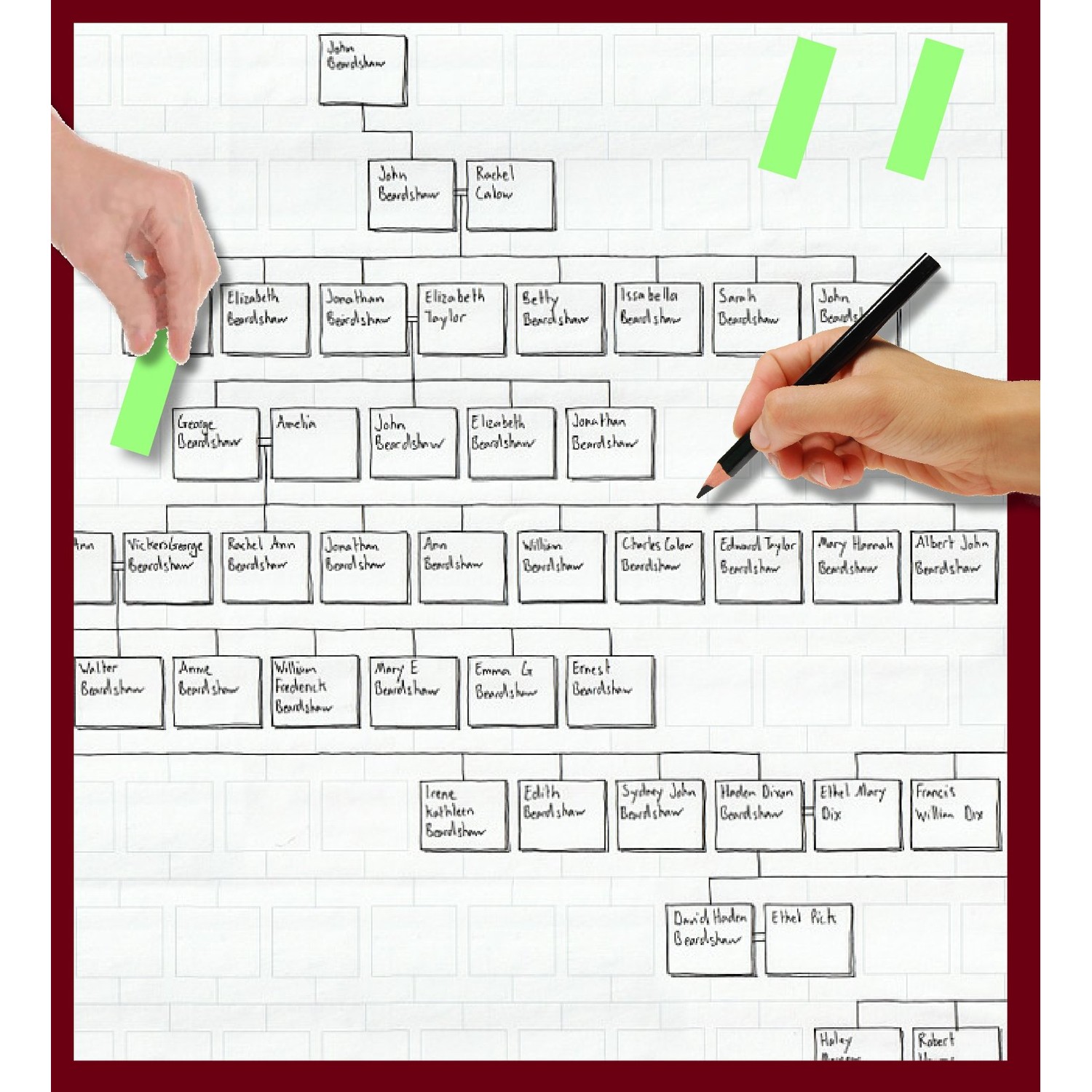 My History Family tree working chart (10 generations tall, 1 metre long ...