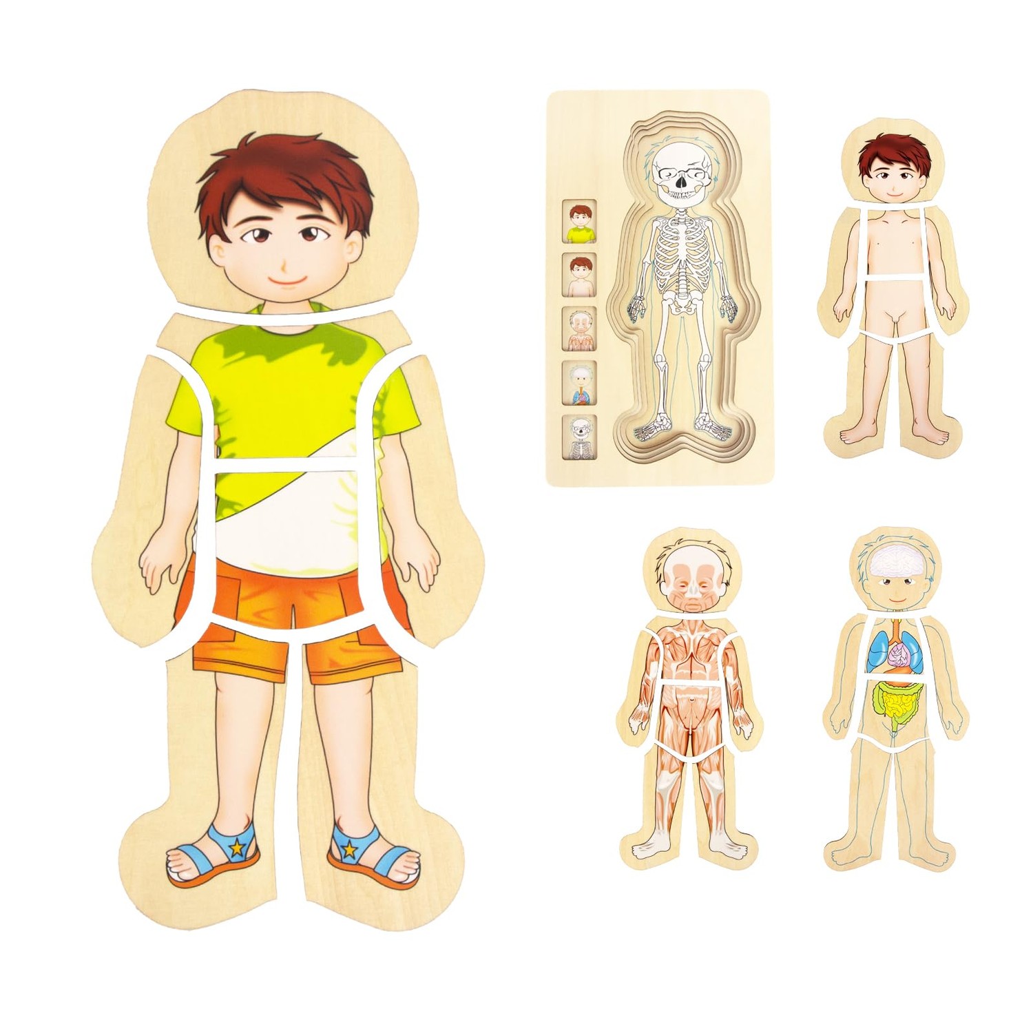 WOODENFUN Human Body Puzzles for Kids 3-5,Wooden Montessori Anatomy ...