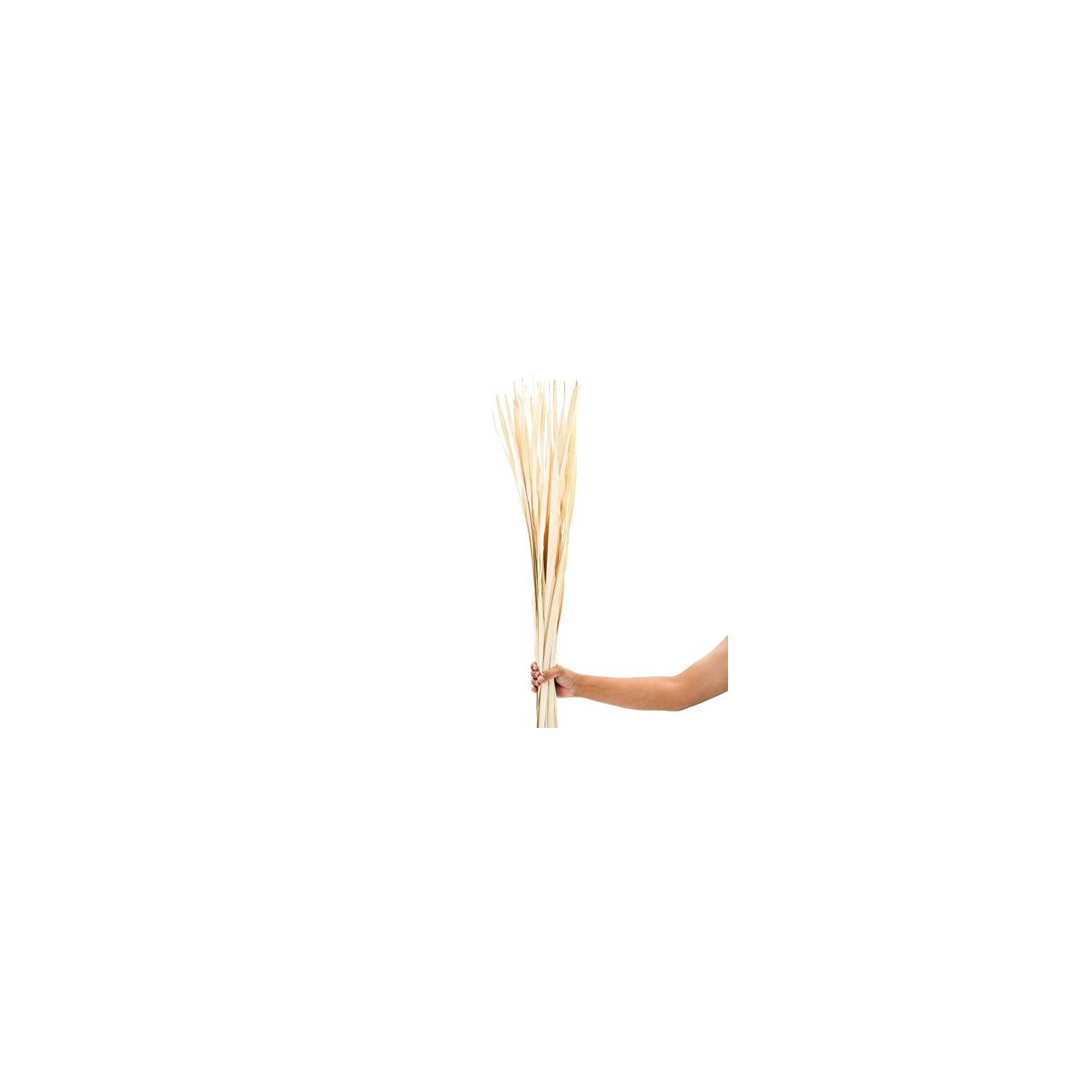 LEEWADEE Palm Leaves – Loose and Colored Decor Twigs for Floor Vases ...