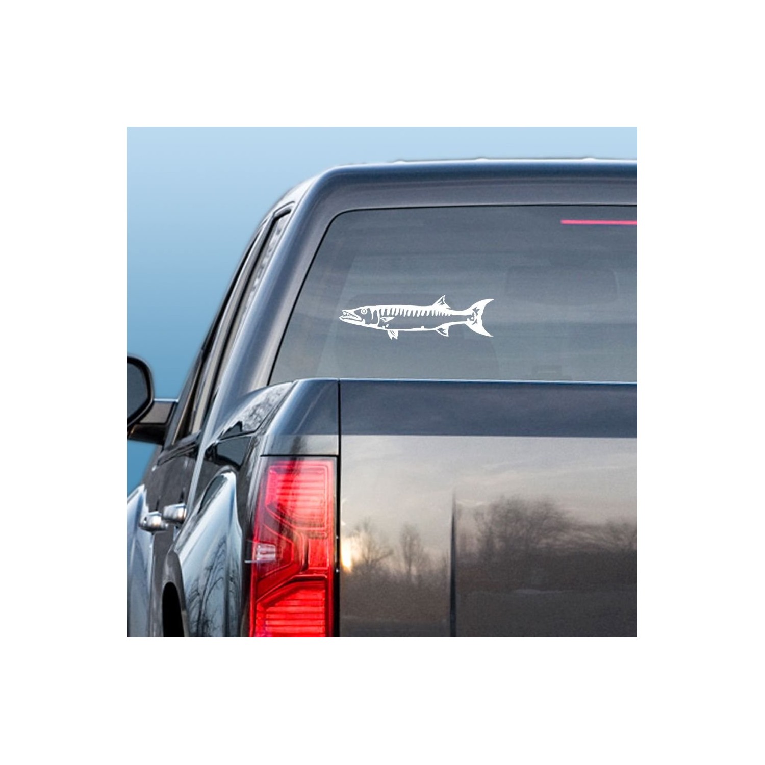 Express Yourself Products Barracuda (White - Reverse Image - Medium ...