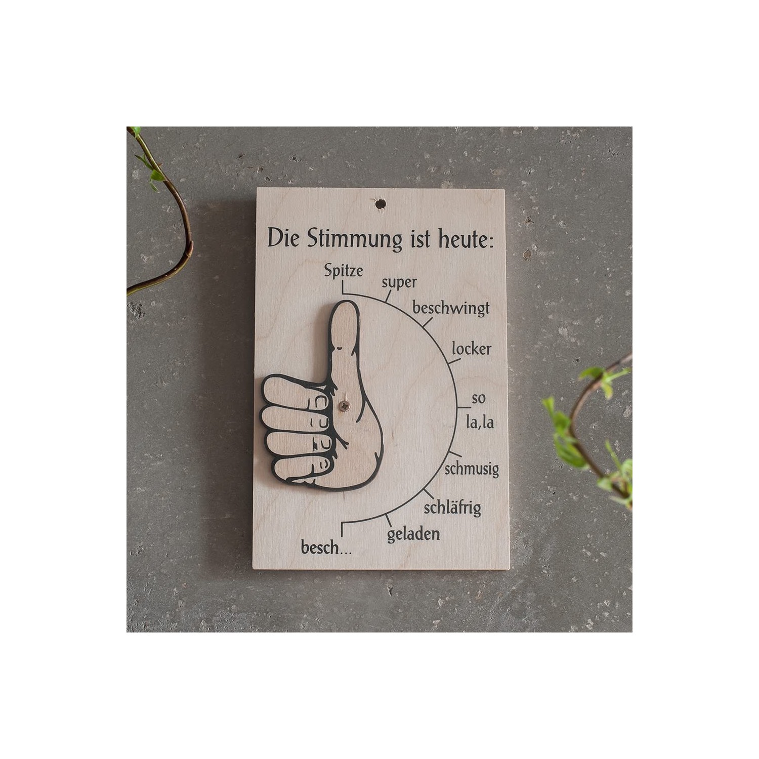 HOFMEISTER® Mood Barometer - ibspot.com
