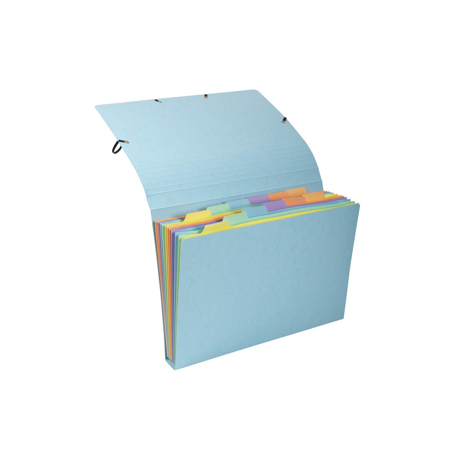 Exacompta 58560E Premium Expanding File Aquarel Made of Extra Strong ...