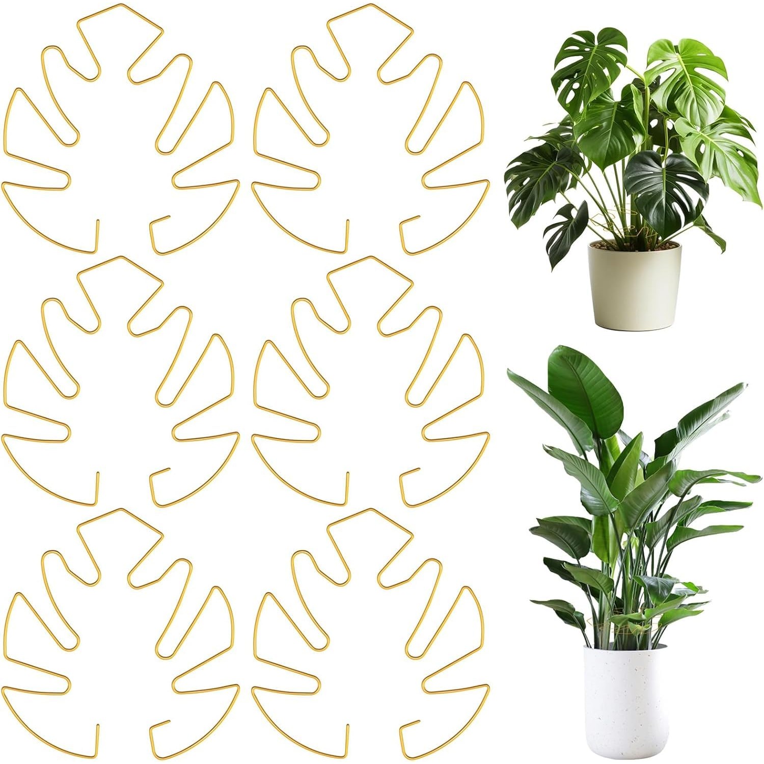 Plant Support Stakes, 6-Piece Turtle Shell Shaped Monstera Leaf ...