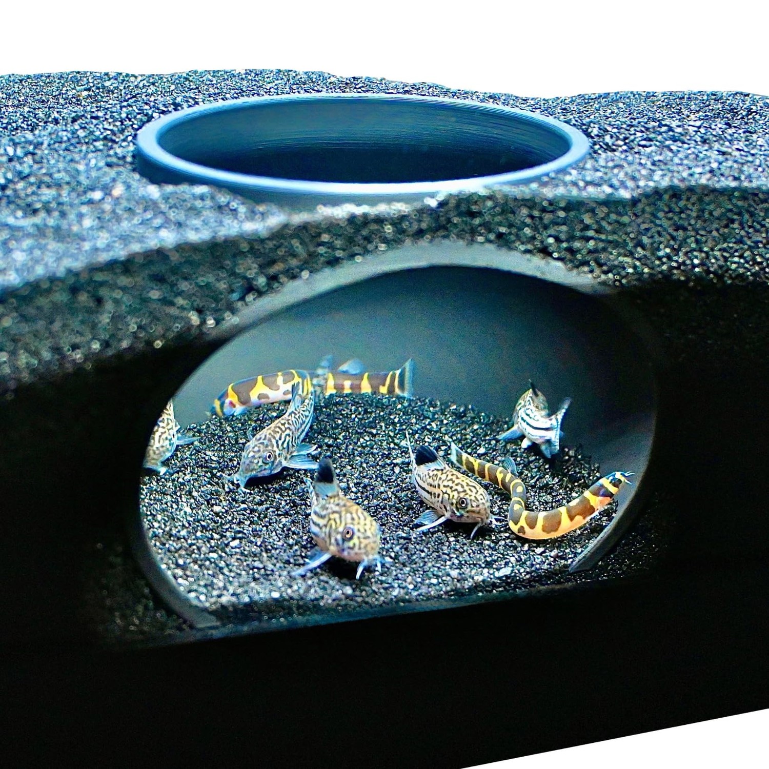 Lucky Critter Aquarium Underground Cave Dome | Viewing Fish & Shrimp ...