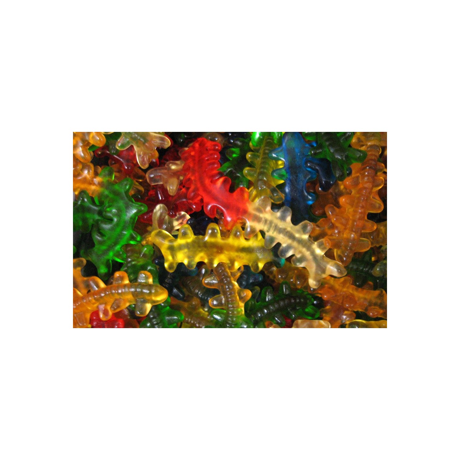 Gummy Centipedes Scorpion Candy 2.2 Pounds Assorted Flavors Gummi Candy ...