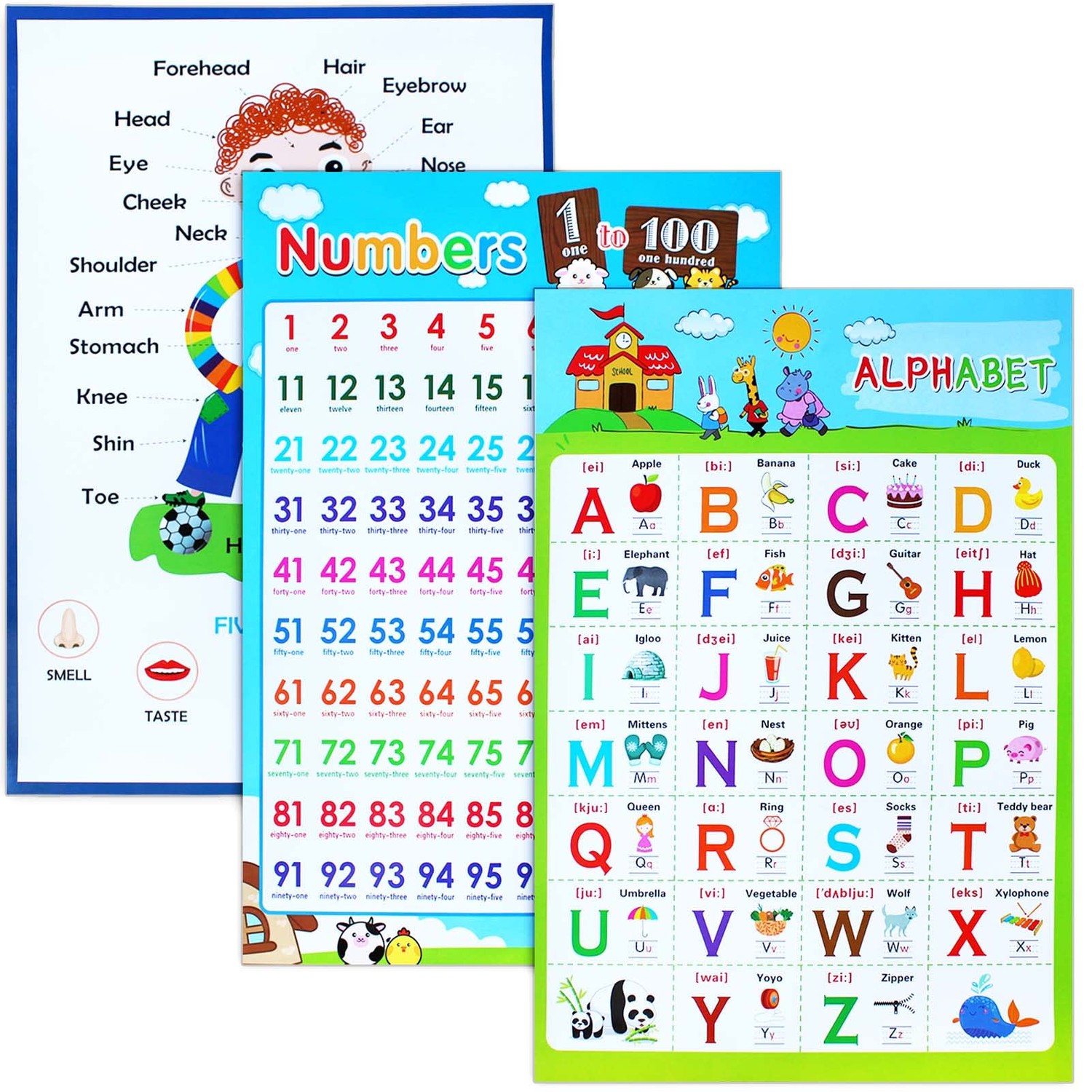 3 Pieces Educational Posters, ICEBLUEOR Laminated Wall Chart Number ...