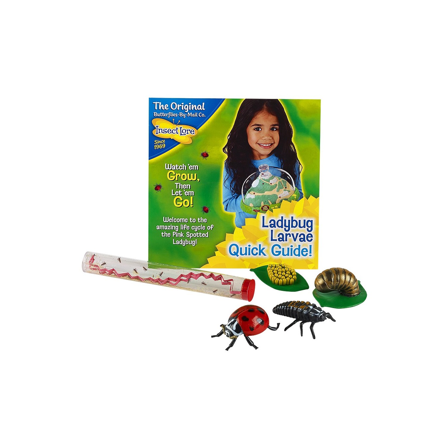 Insect Lore Live Baby Ladybug Larvae - Ladybug Growing Kit REFILL with ...