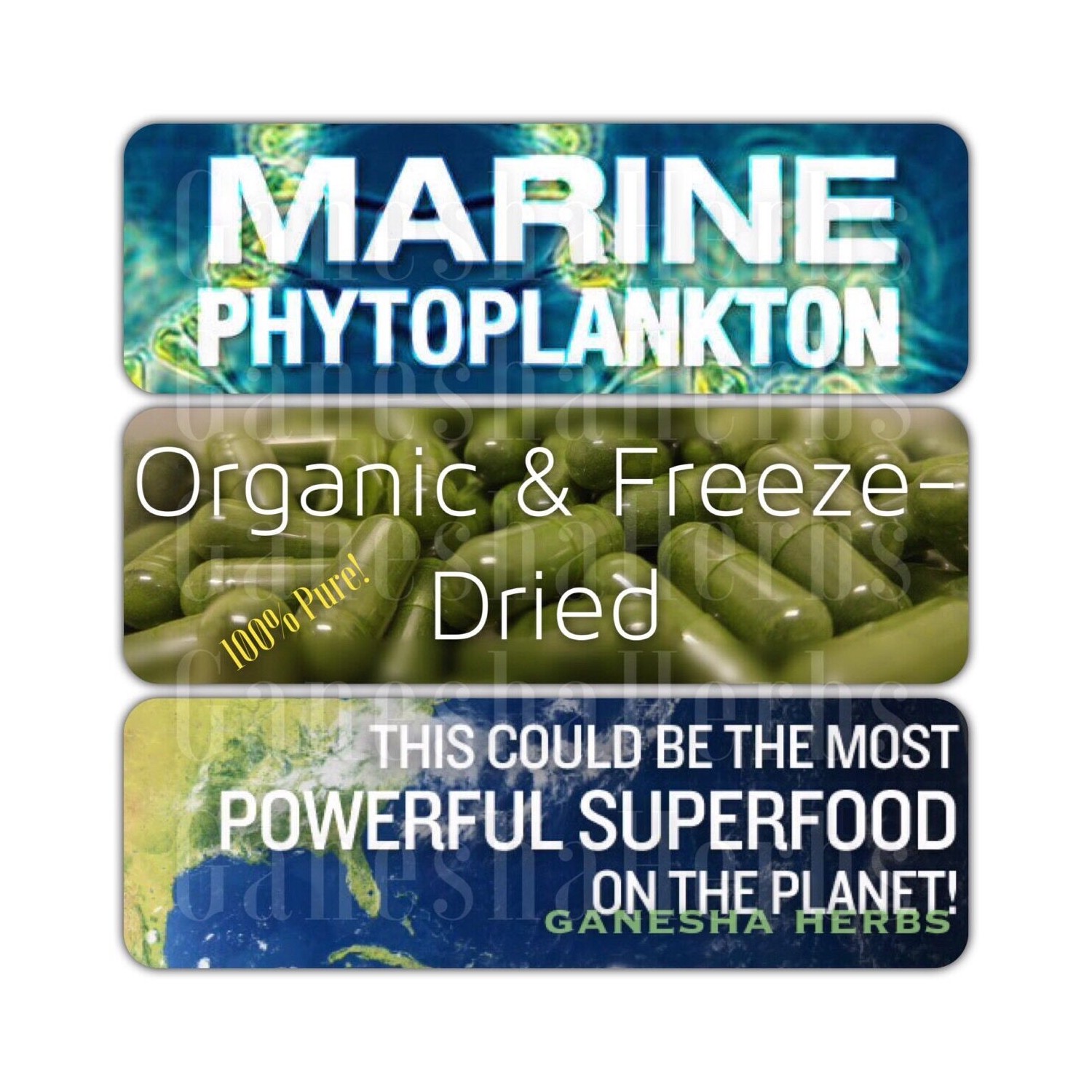 Marine-Phytoplankton Freeze-Dried Powder 100 V capsules Nannochloropsis ...