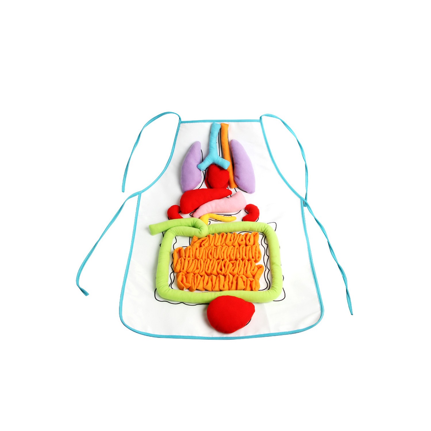 3D Organ Apron Anatomy Apron Human Body Organs Awareness Tool Toy ...