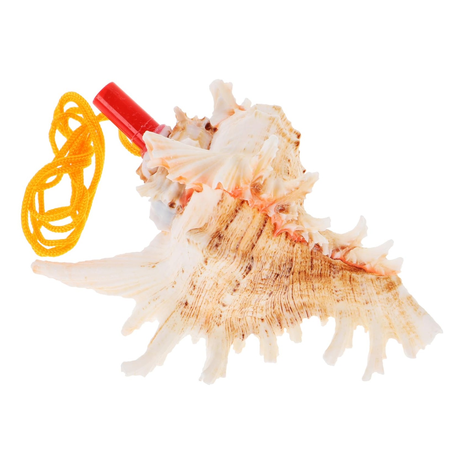 VICASKY Conch Whistle Large Seashell Decorative Seashell Whistle for ...