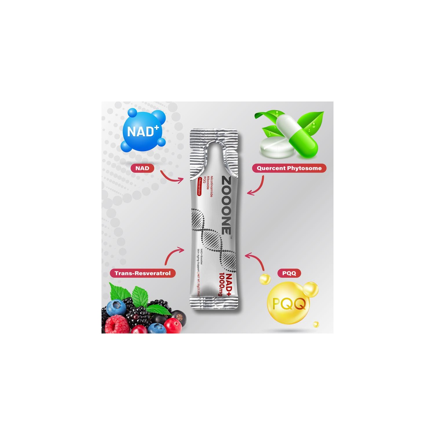 Zooone NR1000 NAD+ berry fruit flavor Supplement - Liposomal ...