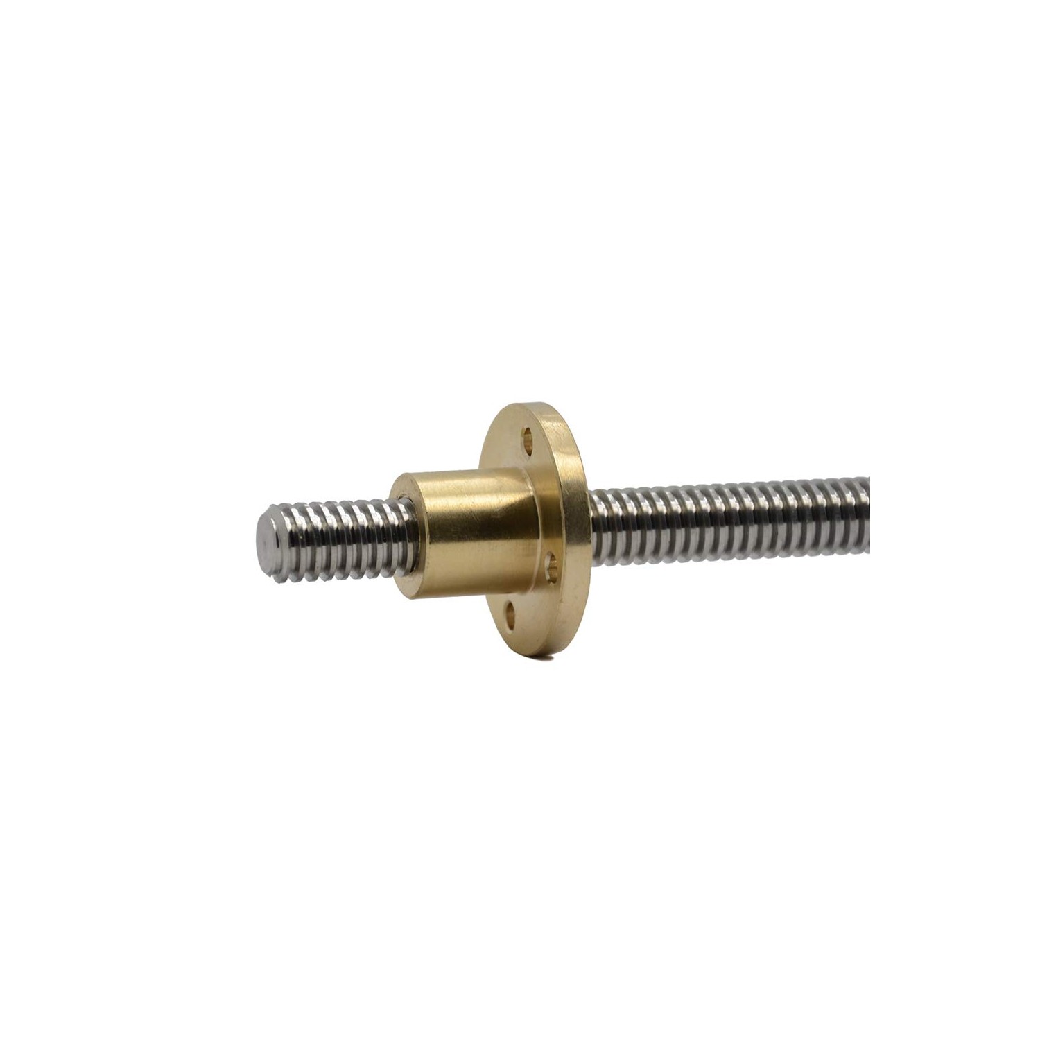 ReliaBot 300mm T10 Tr10x2 Lead Screw and Brass Nut Kit (Acme Thread ...