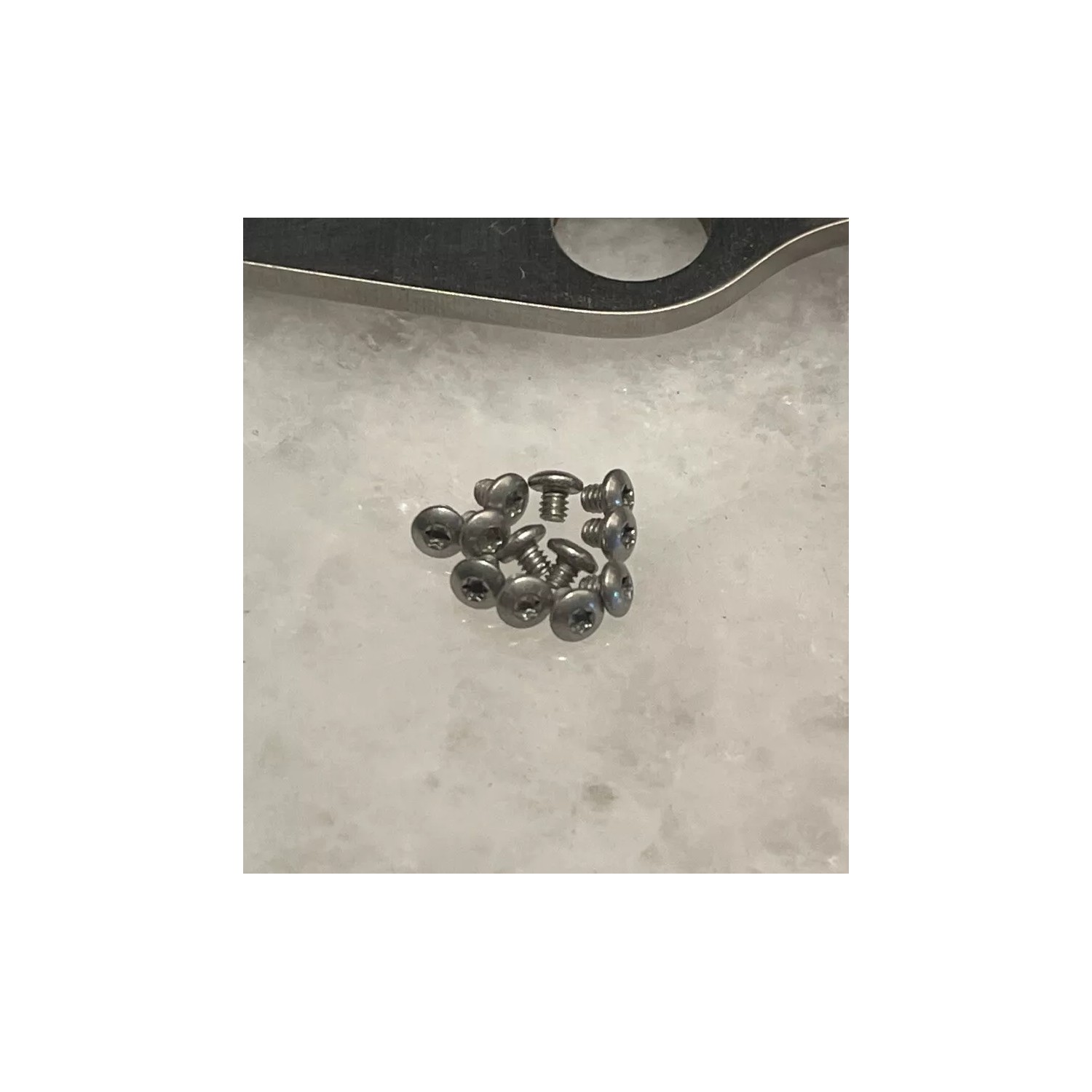 DH Stainless Screws to Plug Spyderco Police C07 Delica 4 C11 Endura C10 ...