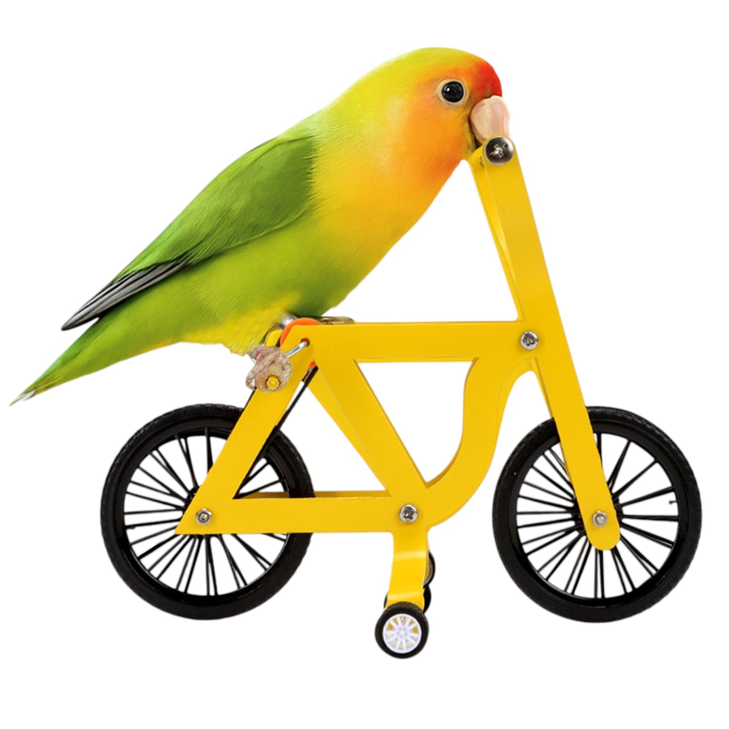 Bird Intelligence Training Toy Mini Bicycle Parakeet Parrot Bike Trick ...