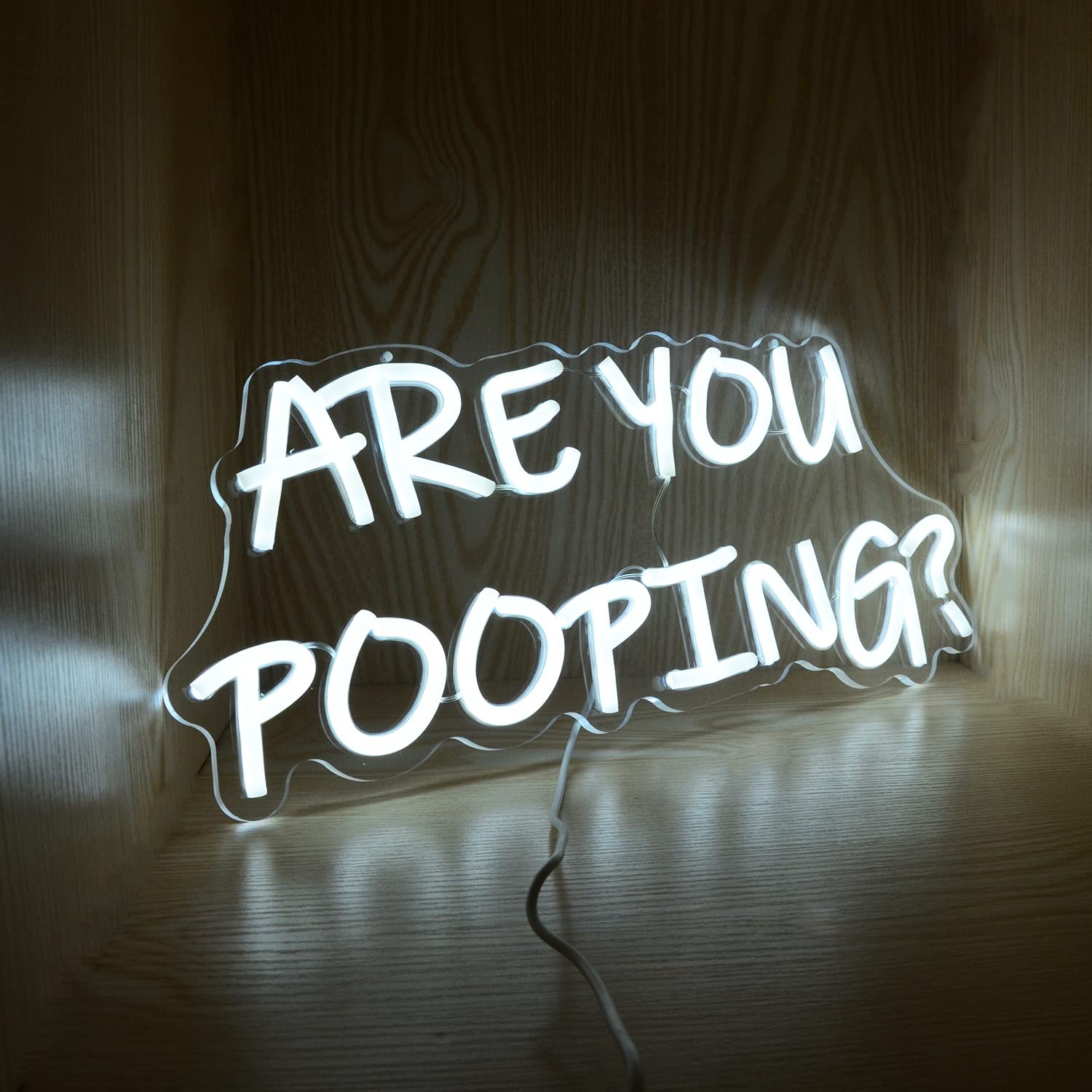 ARE YOU POOPING? Funny Letters Neon Signs White LED Light for Bathroom ...