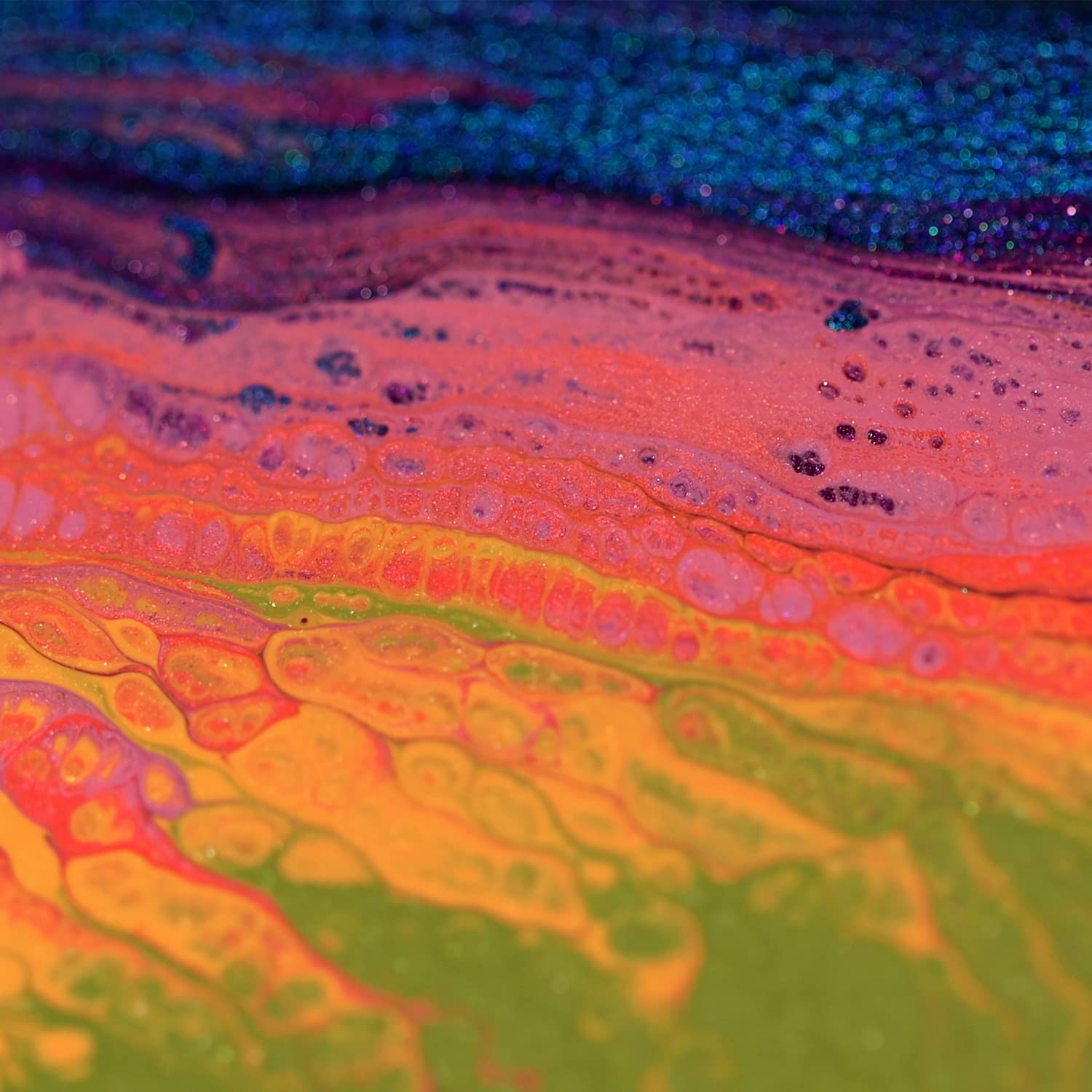 Whats Up Nails - Gust of Wind Collection 6 Polishes (Night Contrails ...