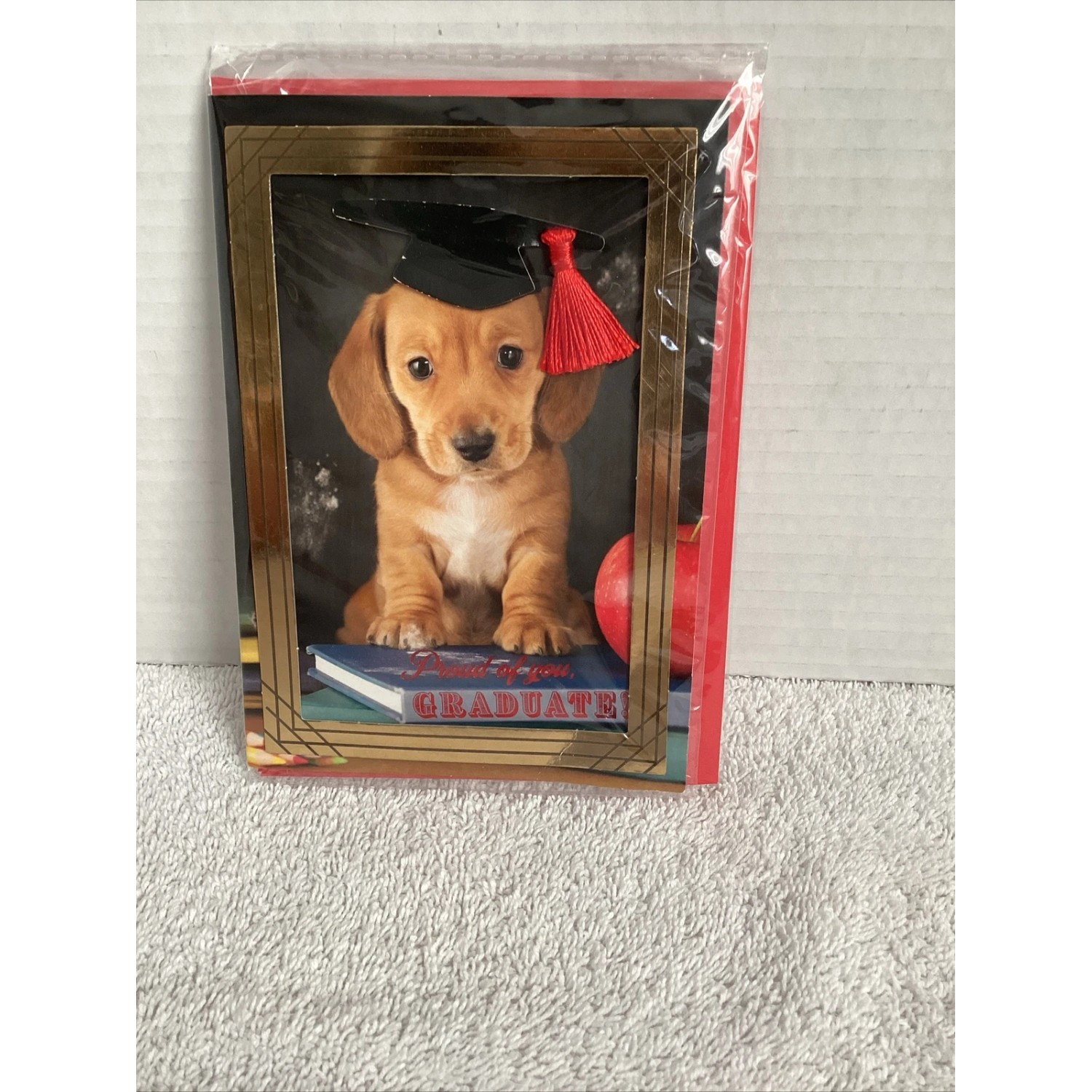 Viola NEW VOiLa Graduation Card - So Proud Of You Graduate - Envelope ...