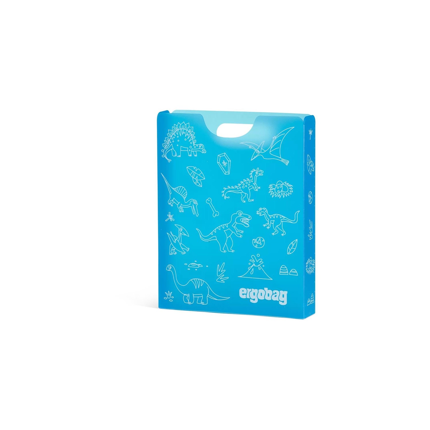 Ergobag Notebook Box DIN A4 Incl. Handle for More Order in the School ...
