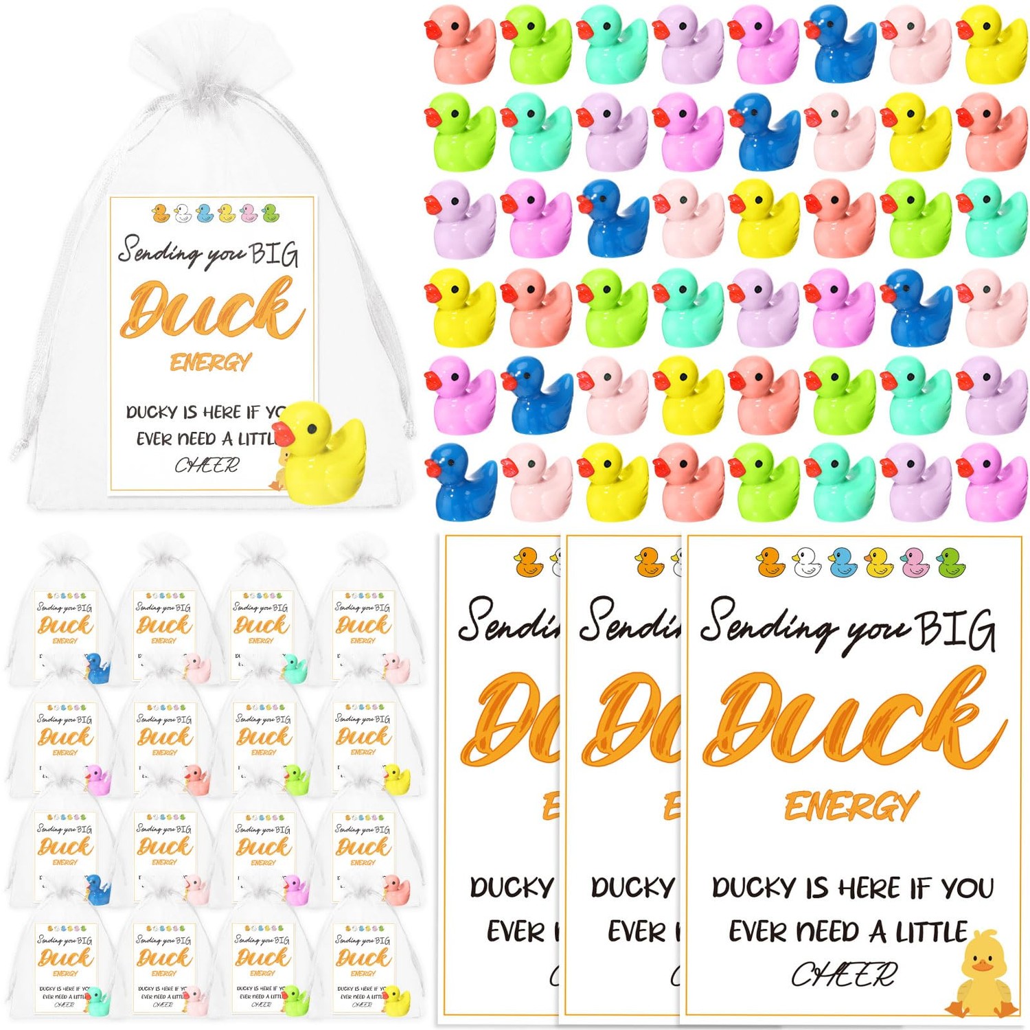 HyDren 48 Set Inspirational Duck Bulk Gifts Back to School Mini Resin ...