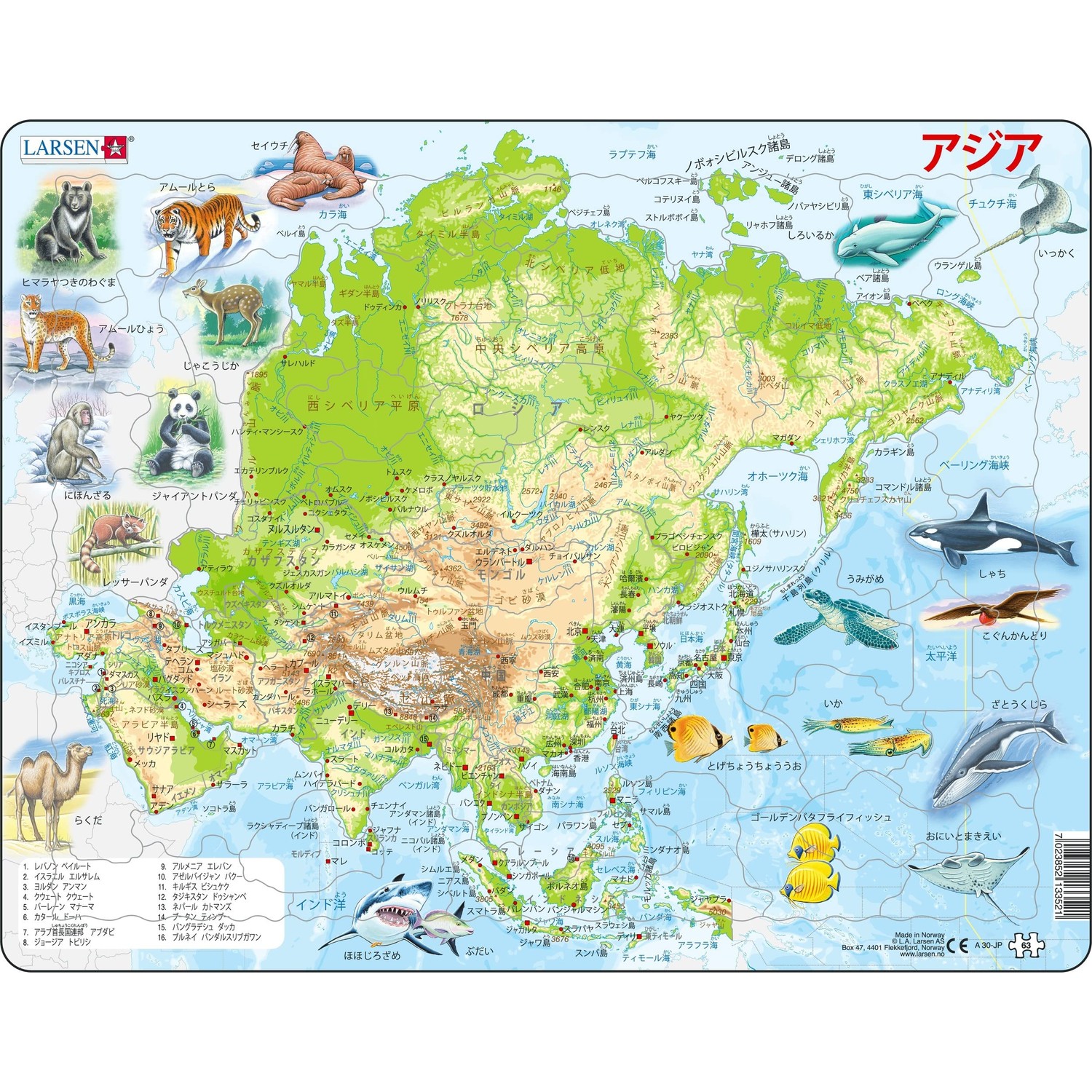 LARSEN Asia Map Japanese Version 63 Piece Jigsaw Puzzle Map Japan Asian ...